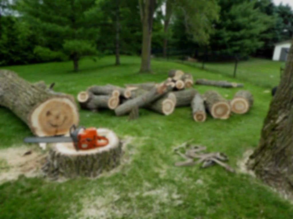 Paszek Services, LLC