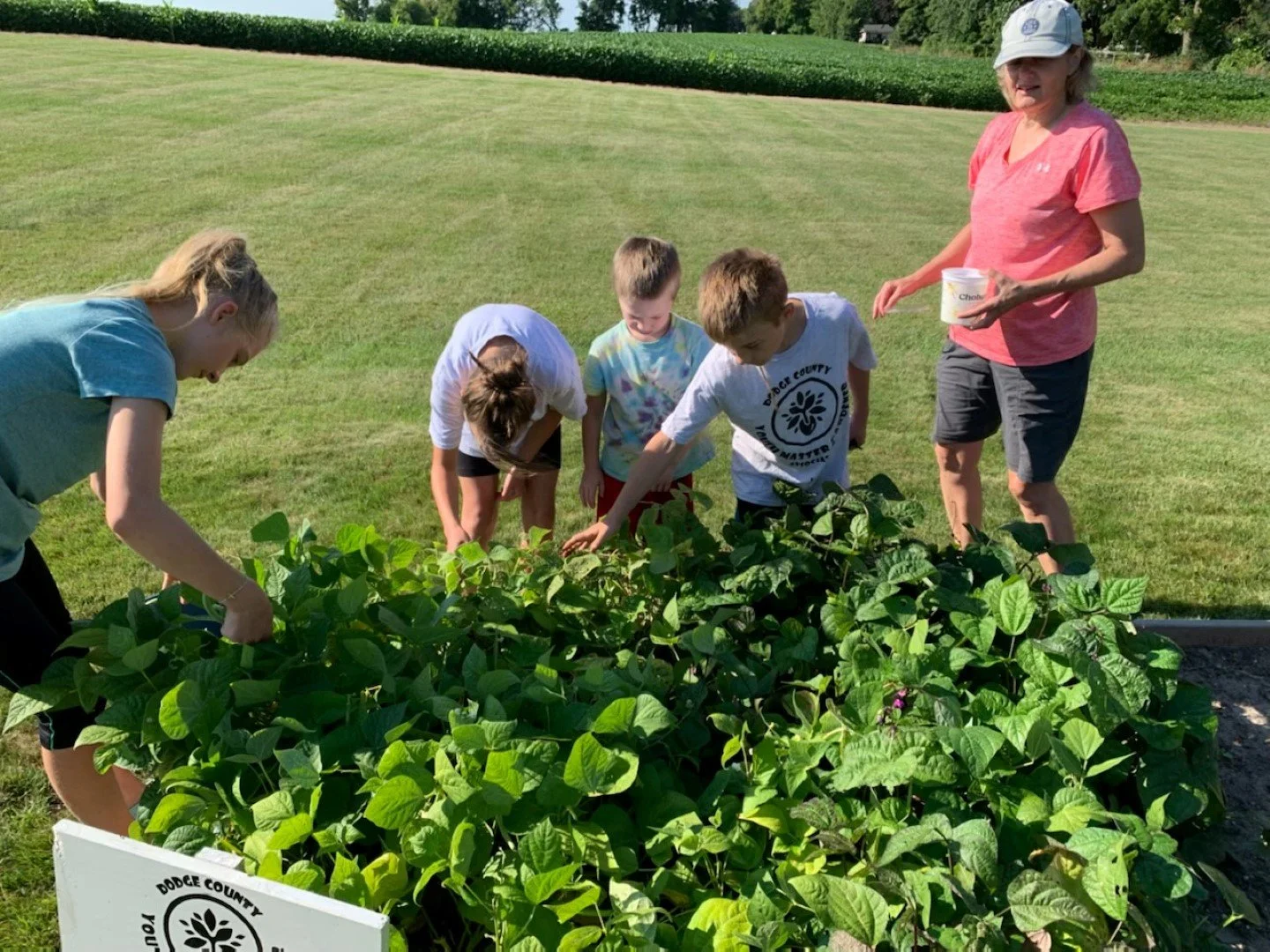 Youth Master Gardener Program — Dodge County Master Gardener Association