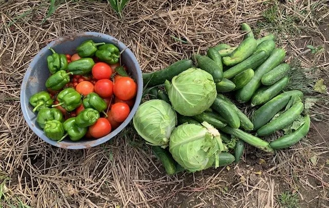 Grow Extra-Give Extra — Dodge County Master Gardener Association