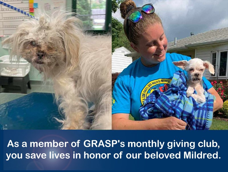 Friends of Mildred | Join & Rescue Lives — GRASP Animal Rescue
