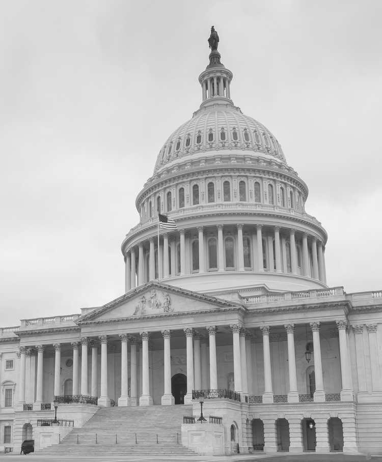 Take Action — Recoding America