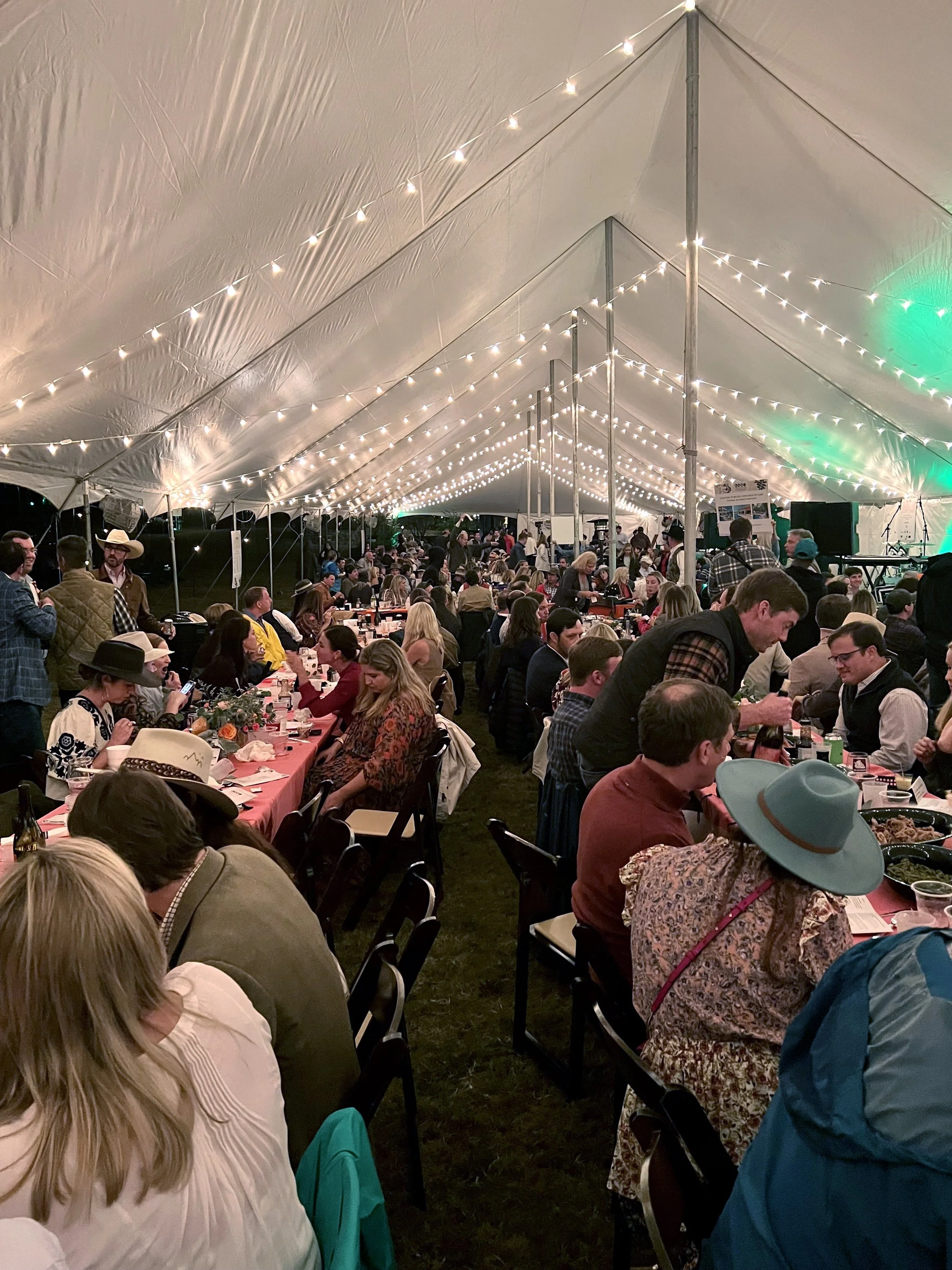 Conservation Through Art | ARTSmemphis