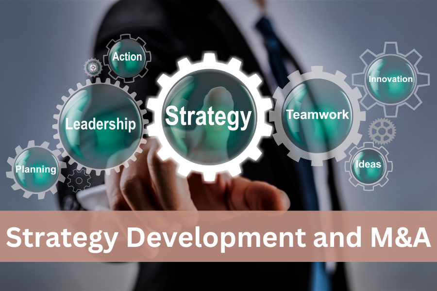 Strategy Development and M&A — By Michael Hofer