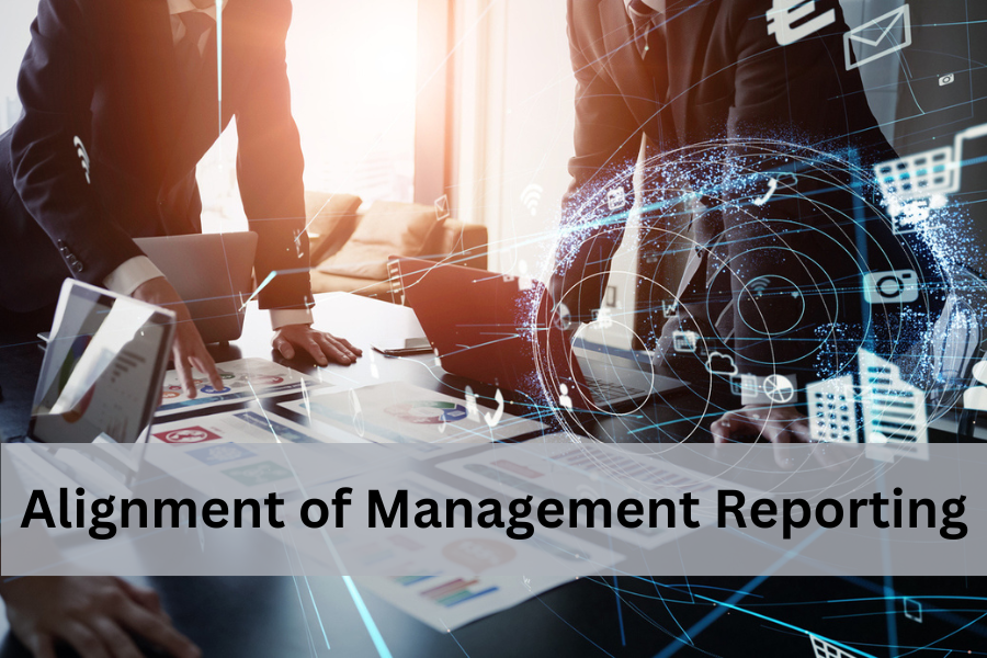 Michael’s M&A Playbook: 5 Tips for the Alignment of the Management ...