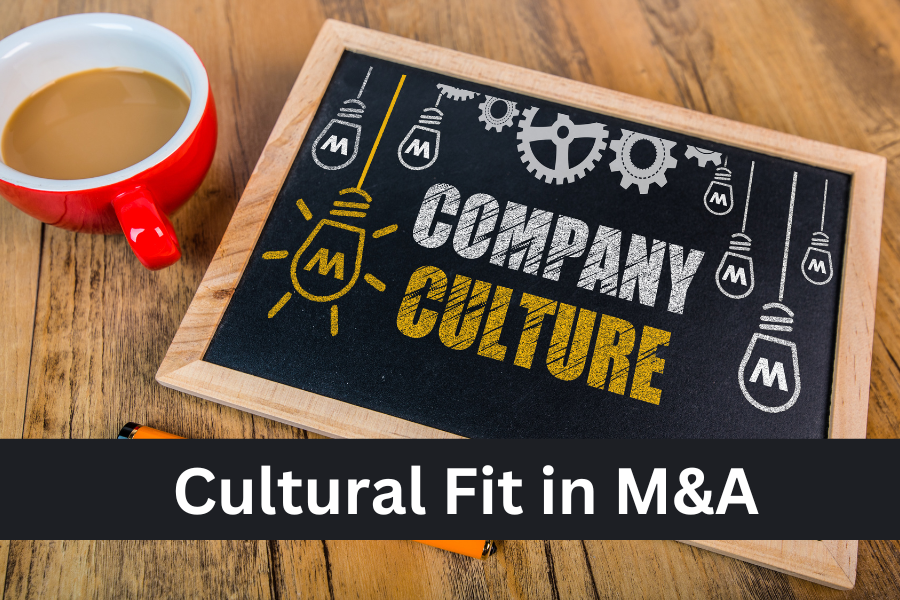 Cultural Fit in M&A — By Michael Hofer