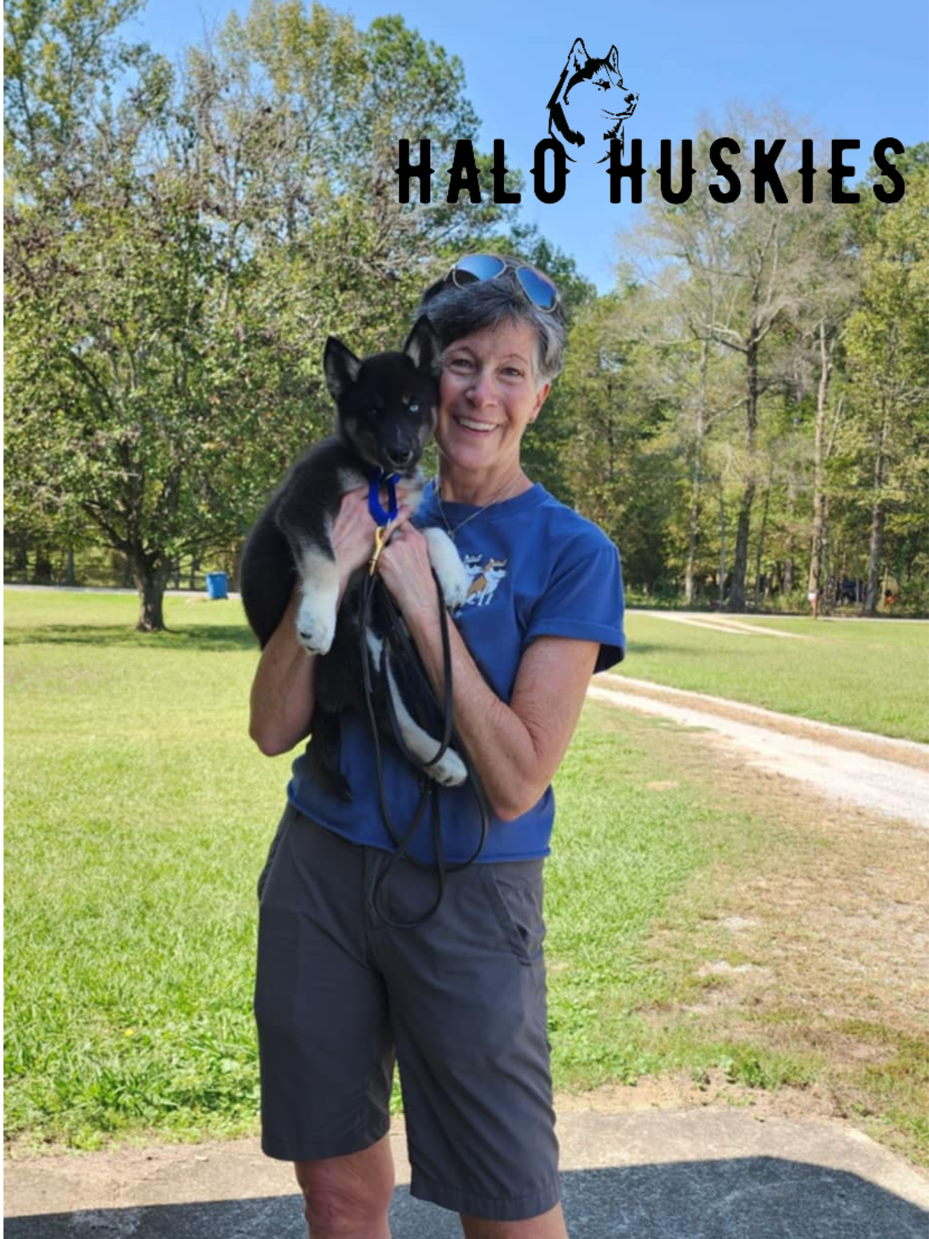 Going Home: Ruby/Clyde’s Bi-Eyed Black and Tan Female #1 — Halo Huskies