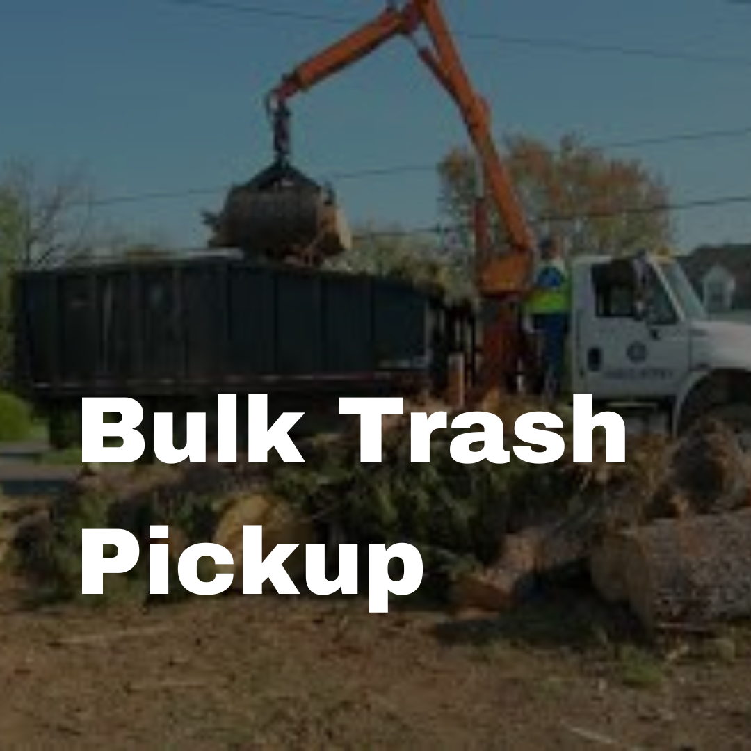 Bulk Trash — Kiestwood