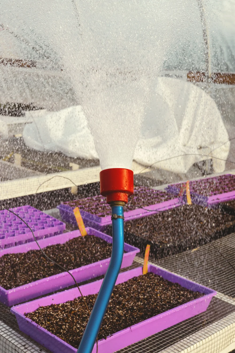 About — Goblin Farm