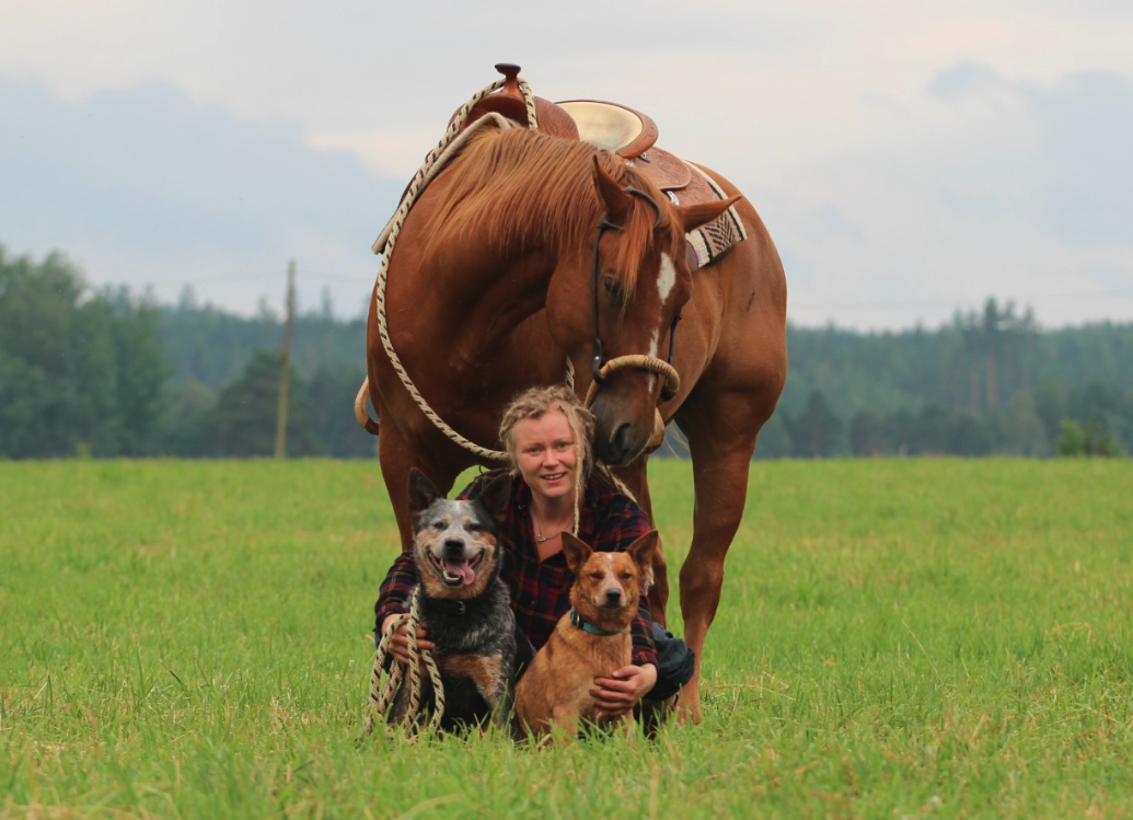 Meistä — Toivola 1936