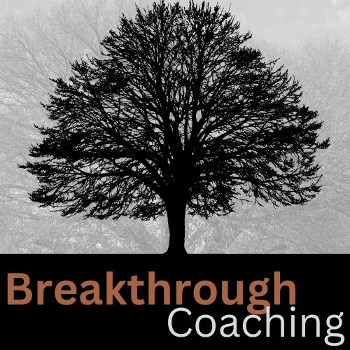 Breakthrough Coaching | Breakthrough Coaching with Scott Mitchell CPA MBA