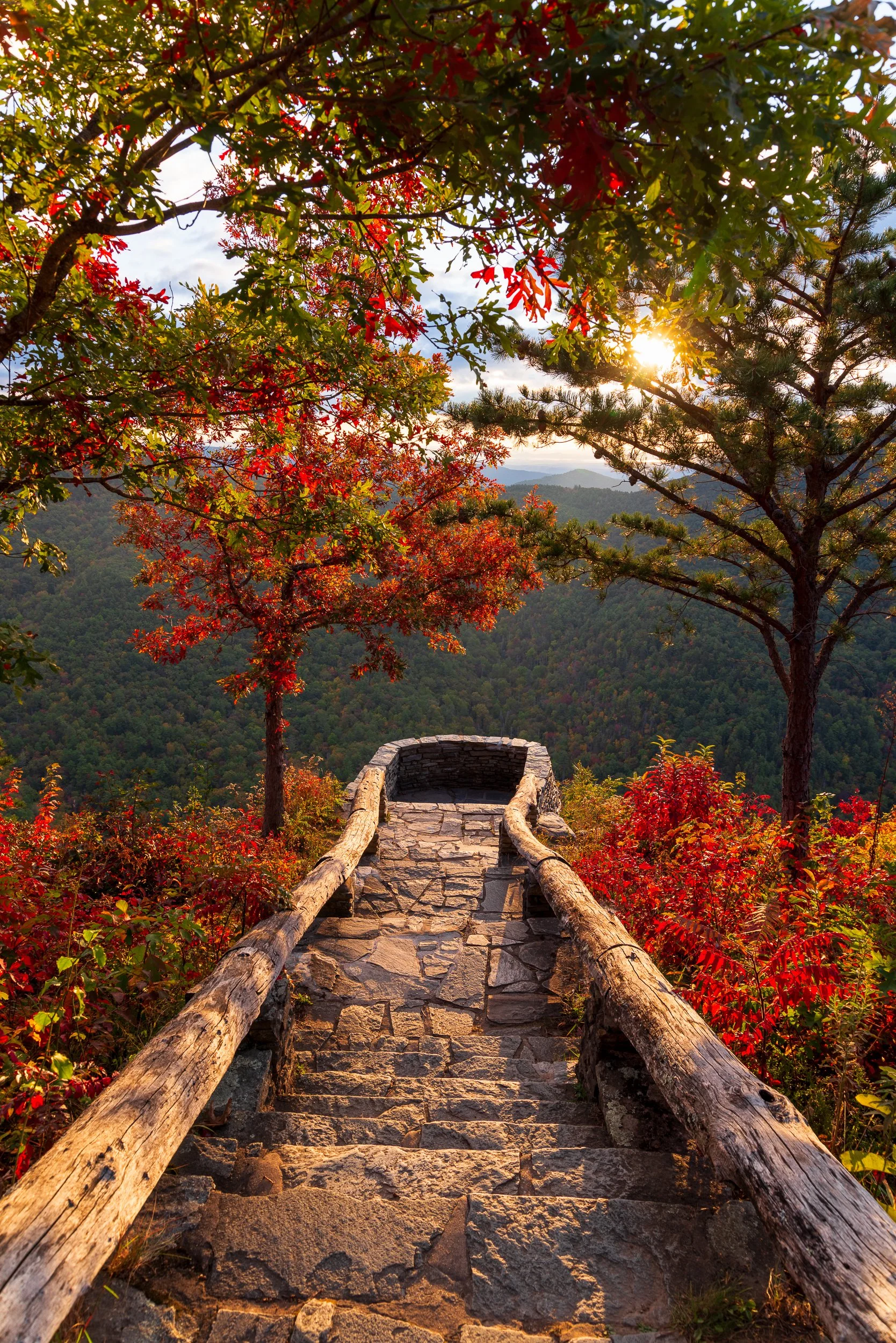 Conor O'Healy Photography