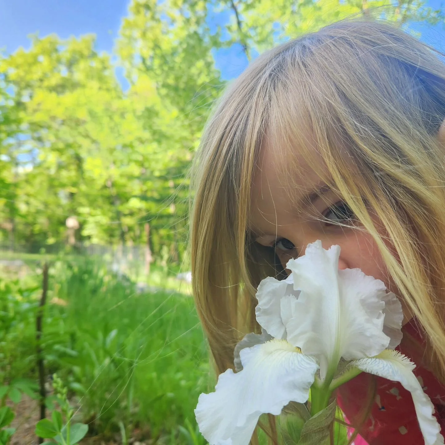 Grass Bones Flower Farm