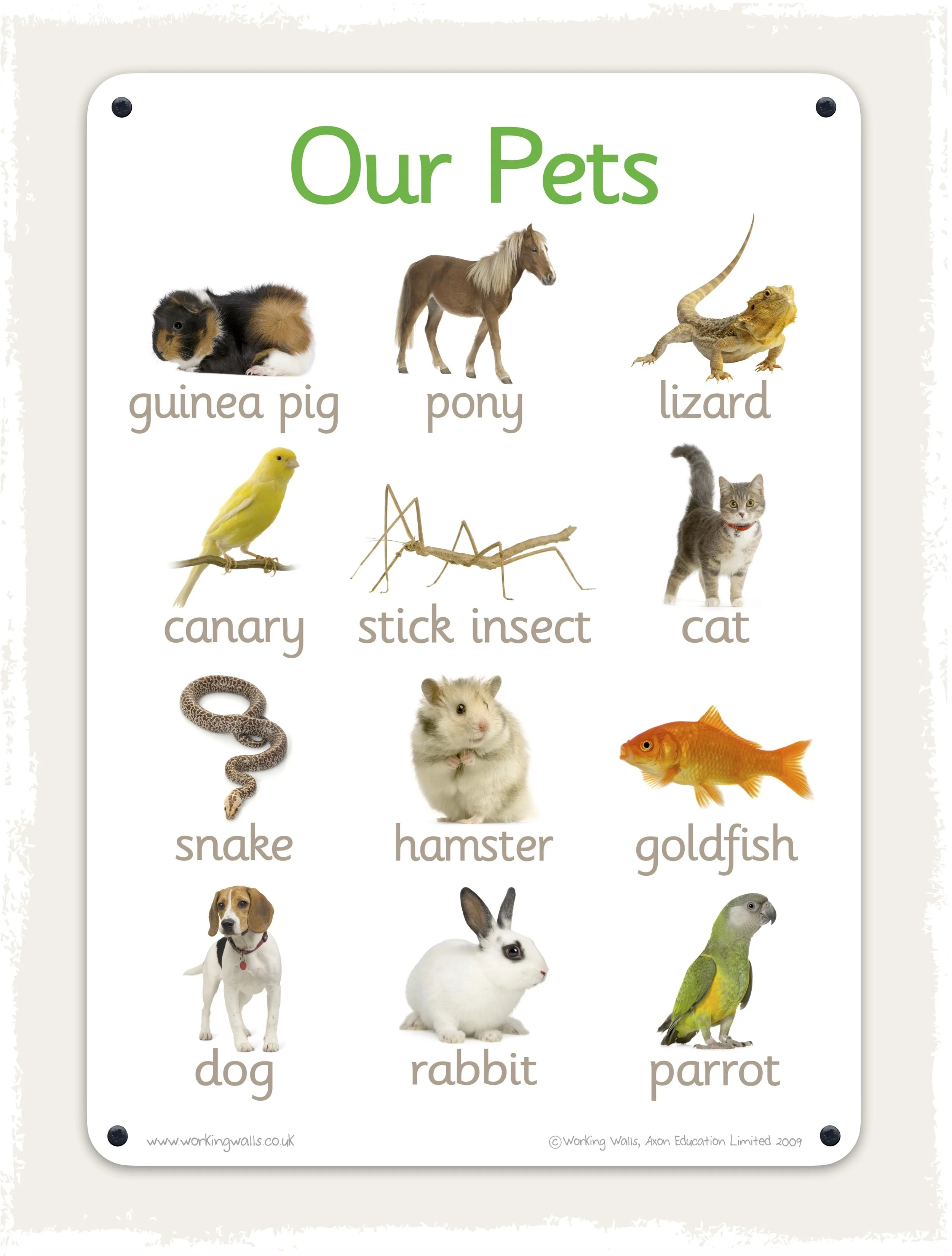 Farm Animals Poster Pack — working walls