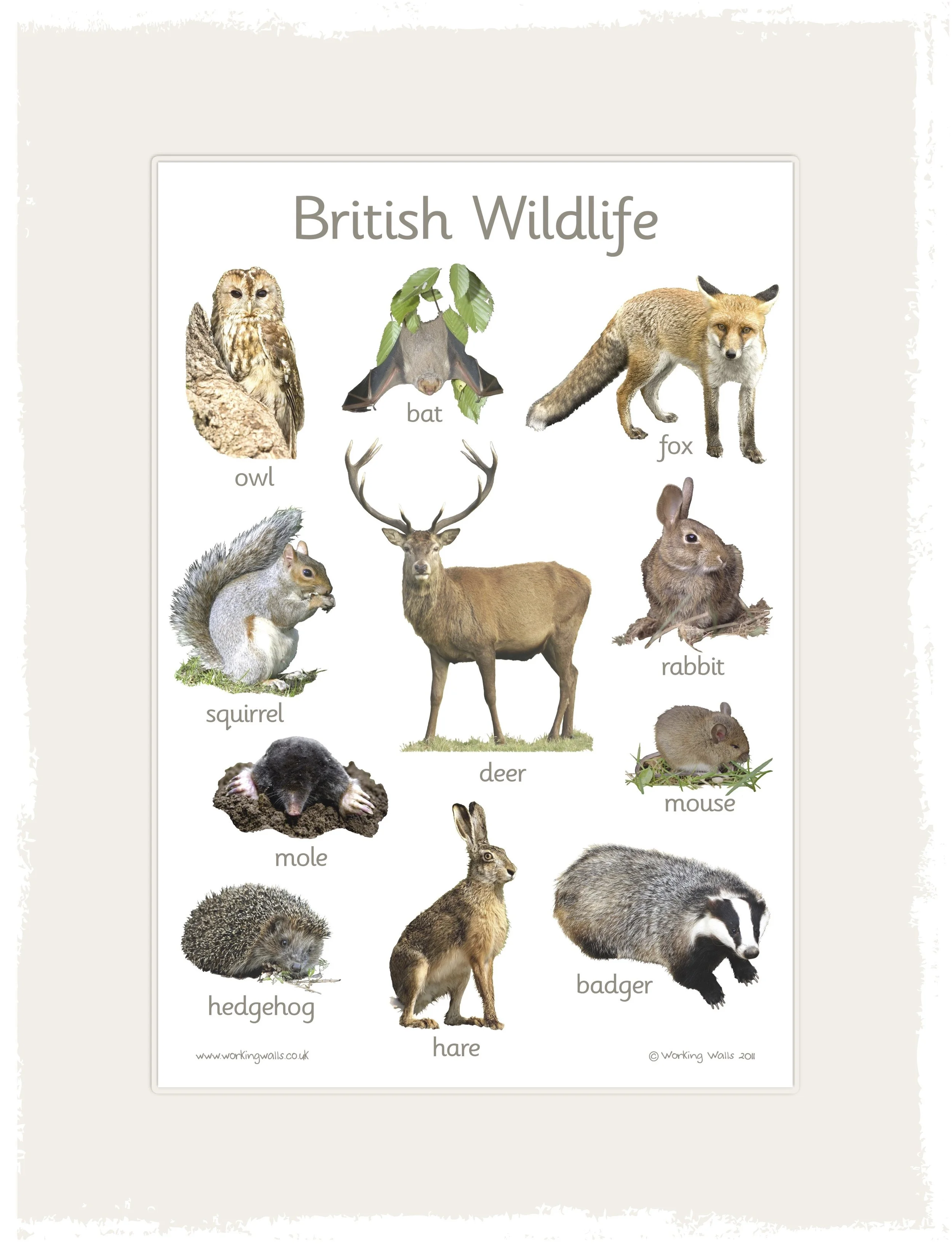 On The Moors Poster Pack — working walls