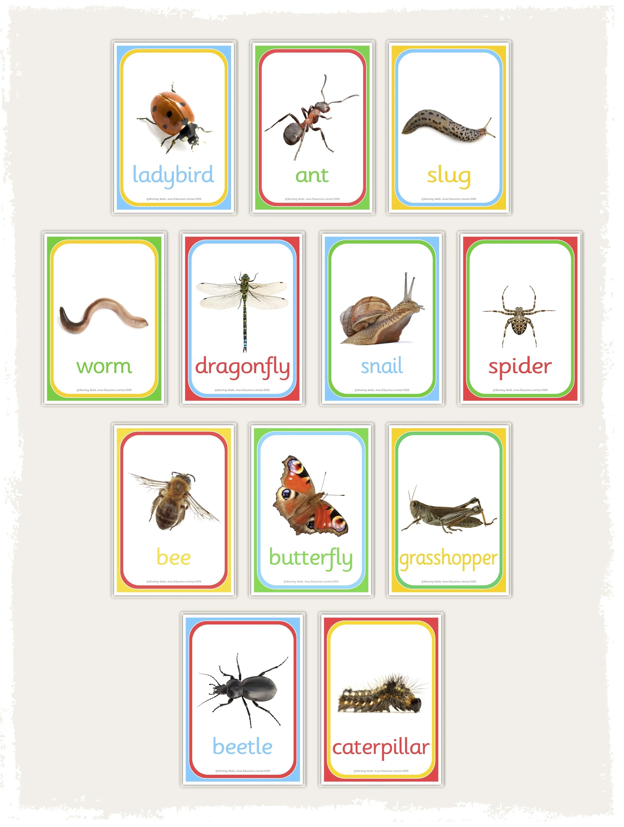 Polish Numbers Flashcards — working walls