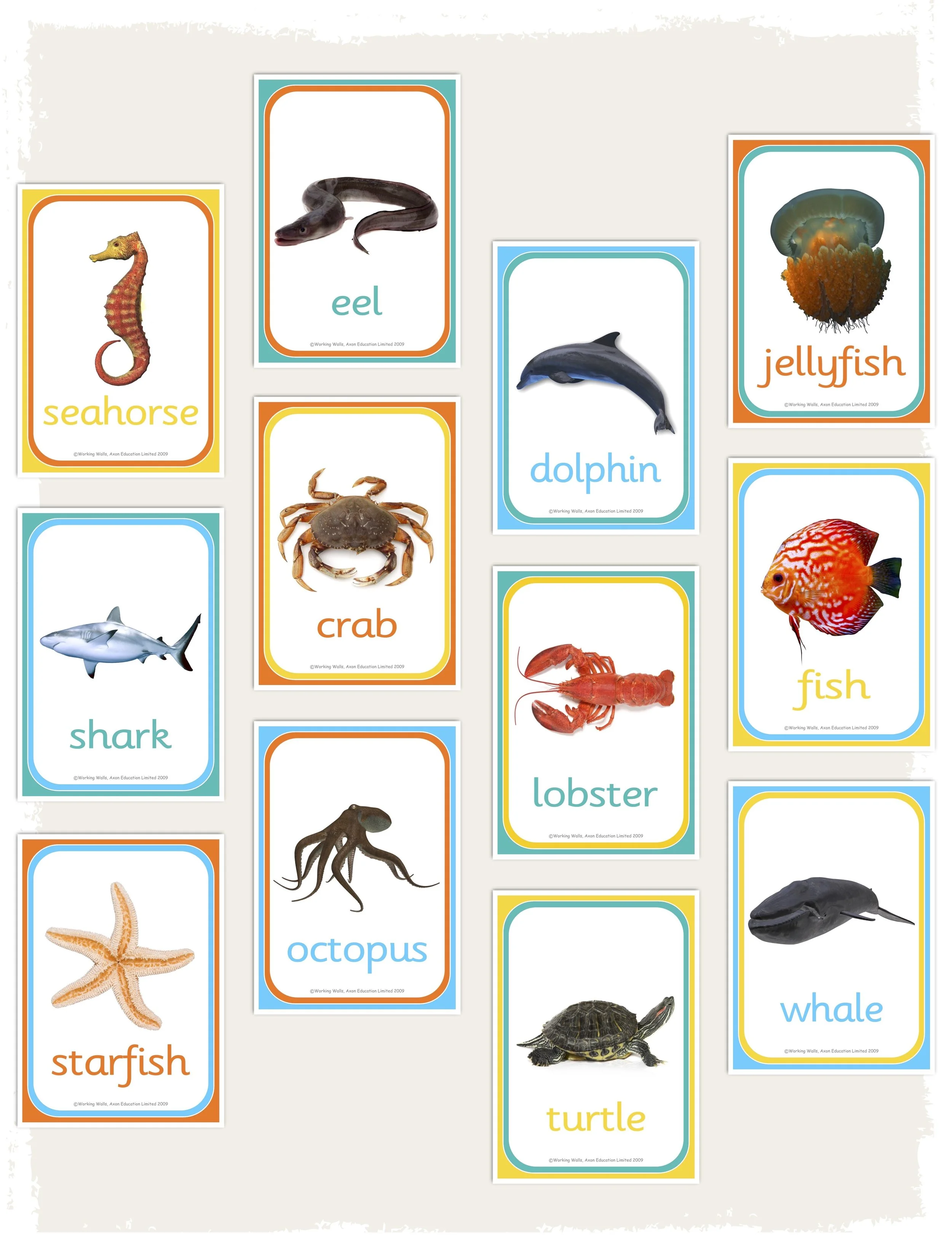 Wild Animals Poster Pack — working walls