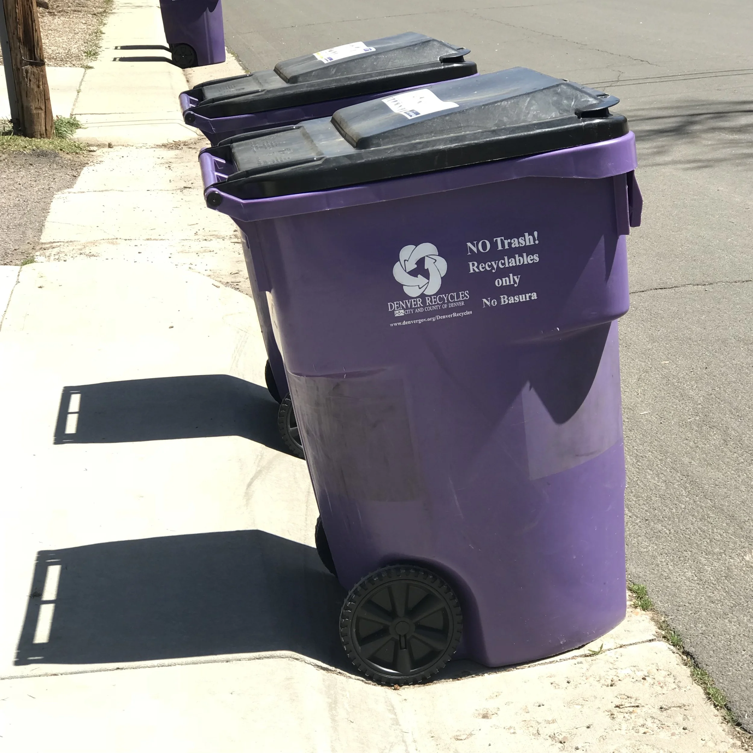 Denver Recycles Brand — Betsy Johnson Design