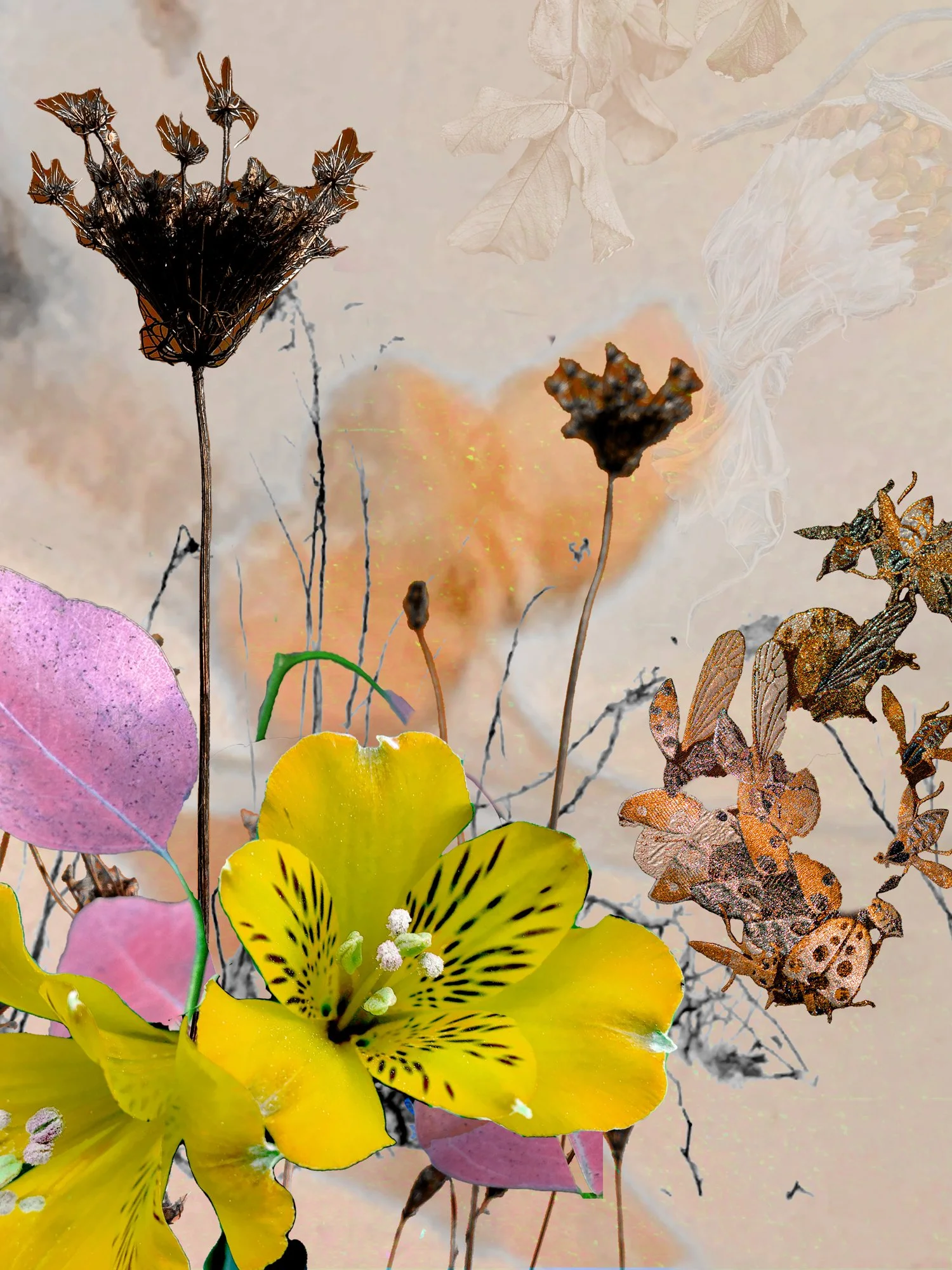 Wildflowers — carol eisenberg