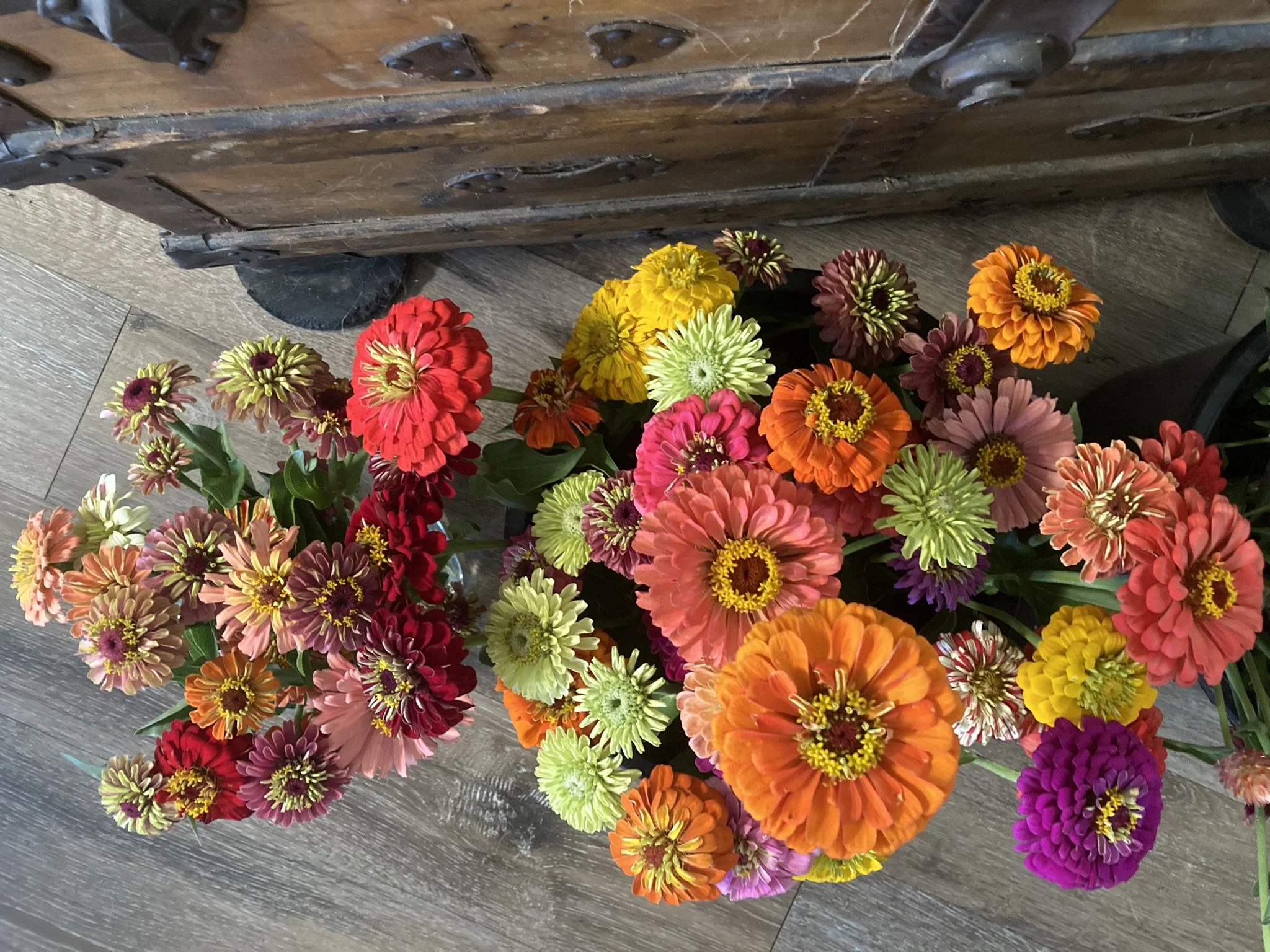 Gallery — Grass Mesa Flower Farm