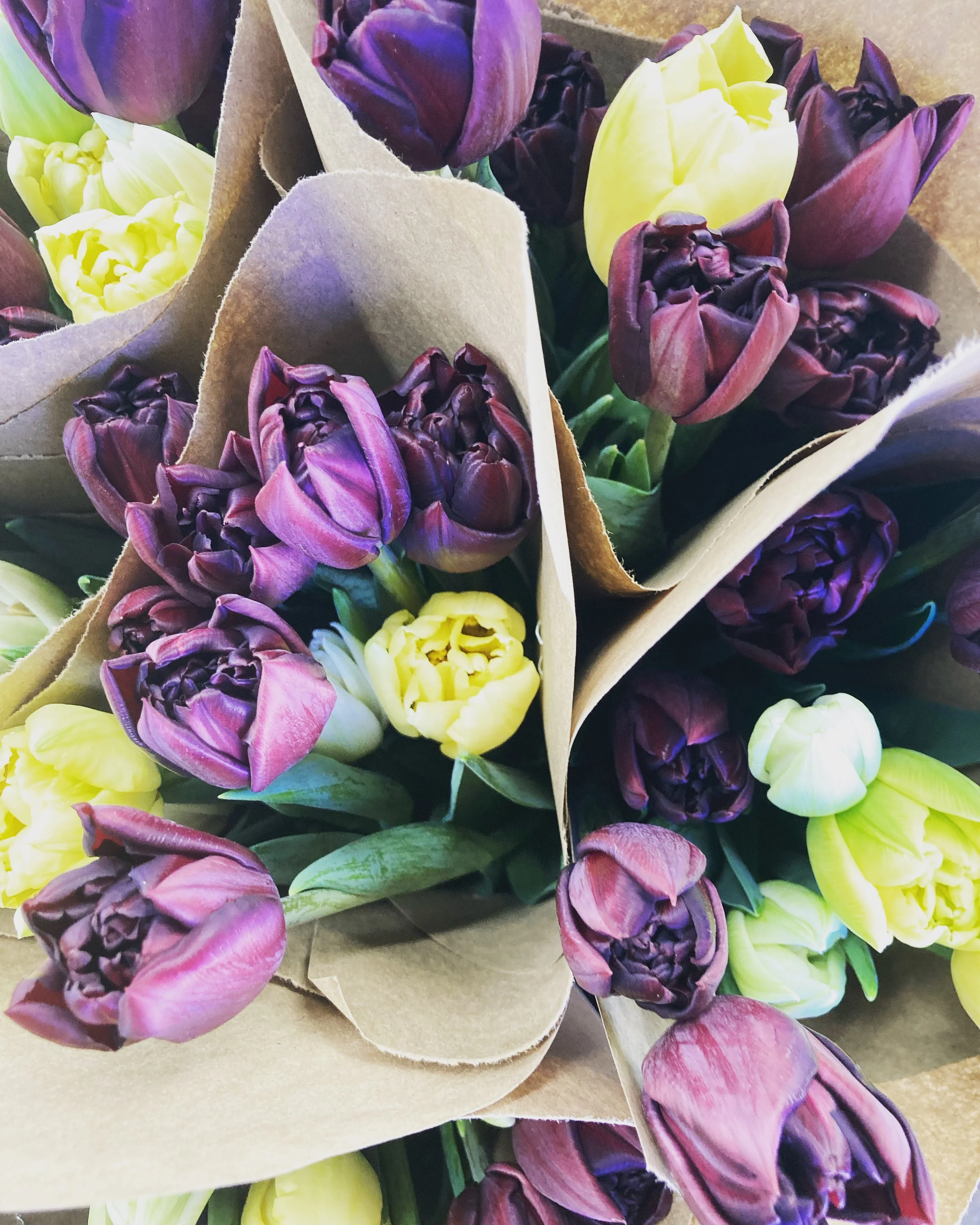 Shop Flowers — Grass Mesa Flower Farm