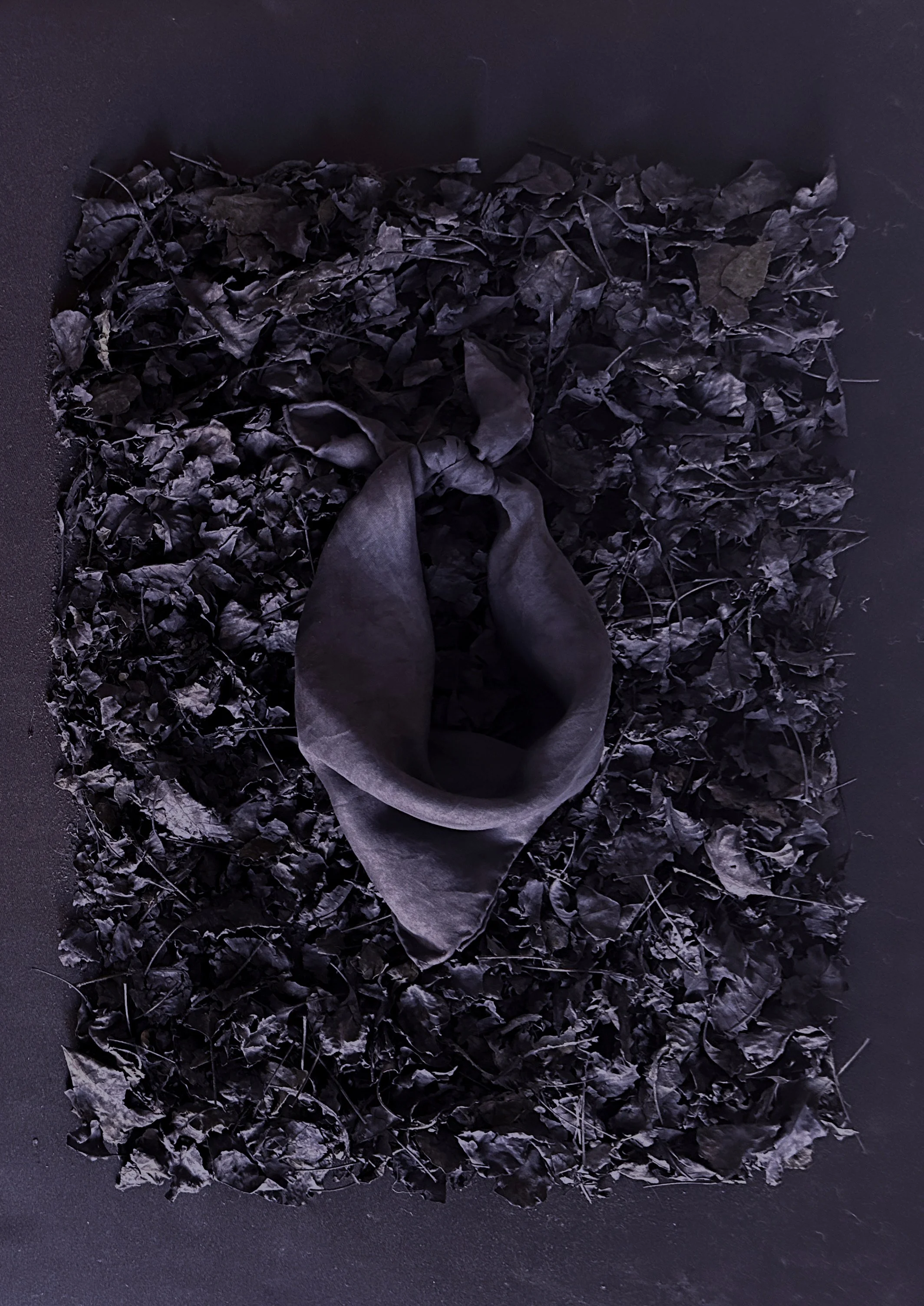 CAROLINE GUILBERT STUDIO