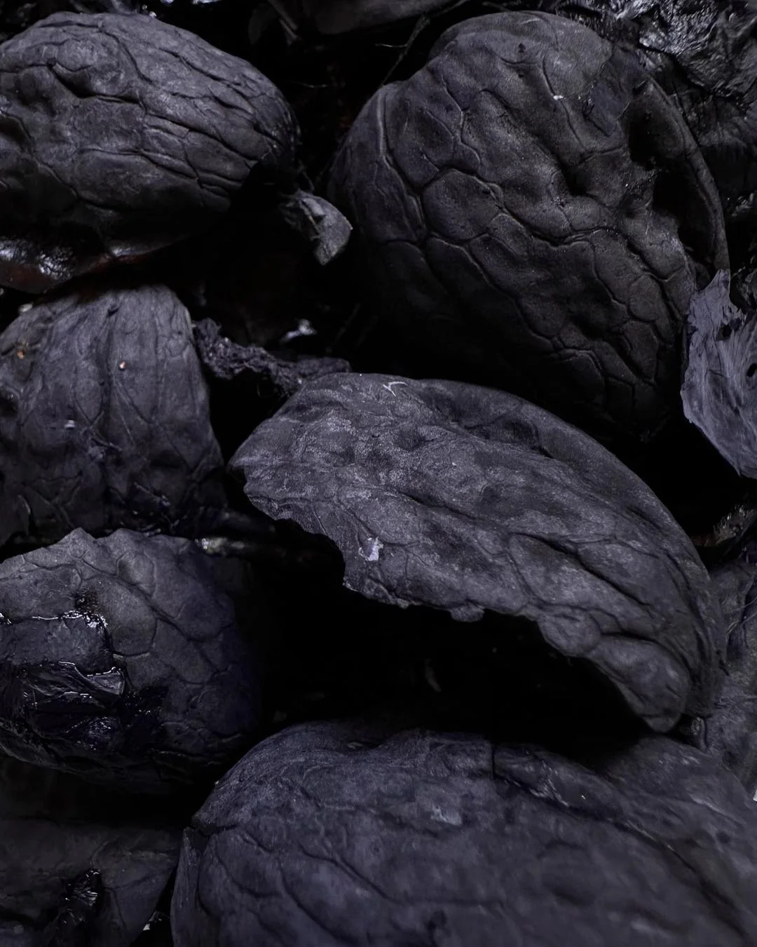 CAROLINE GUILBERT STUDIO