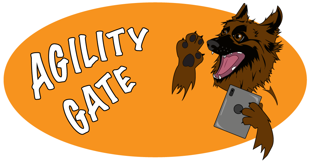 Boundless Education Grant — Boundless Junior Agility Co.