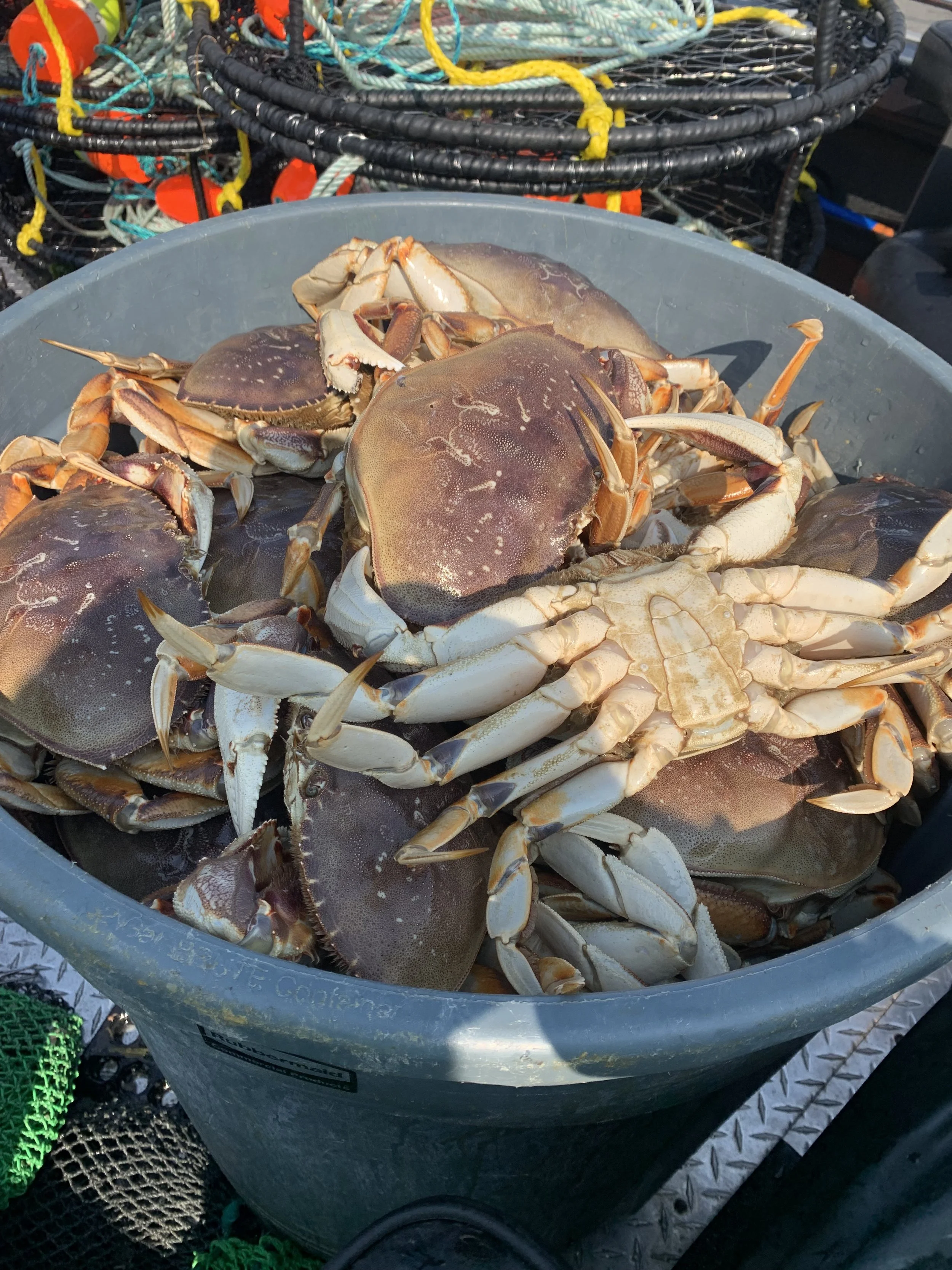 Southern Oregon Seafood Company