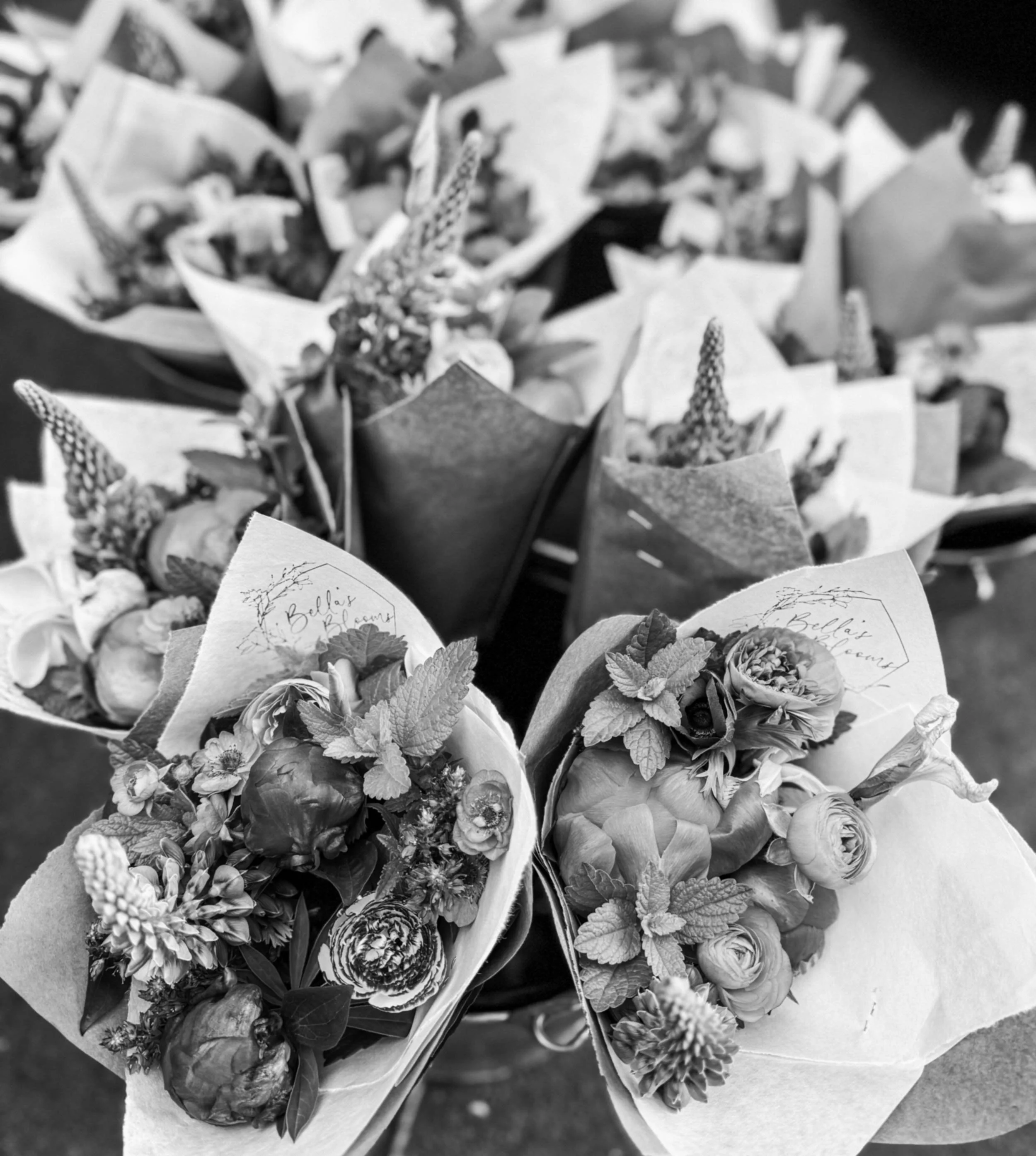 Bella's Blooms Flower Co. | Erie, PA Flower Farm & Florist