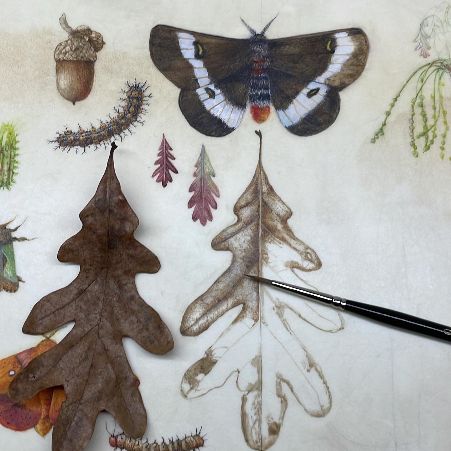 Portfolio — Lara Call Gastinger