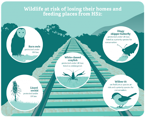 Print Magazine — Viridis Magazine