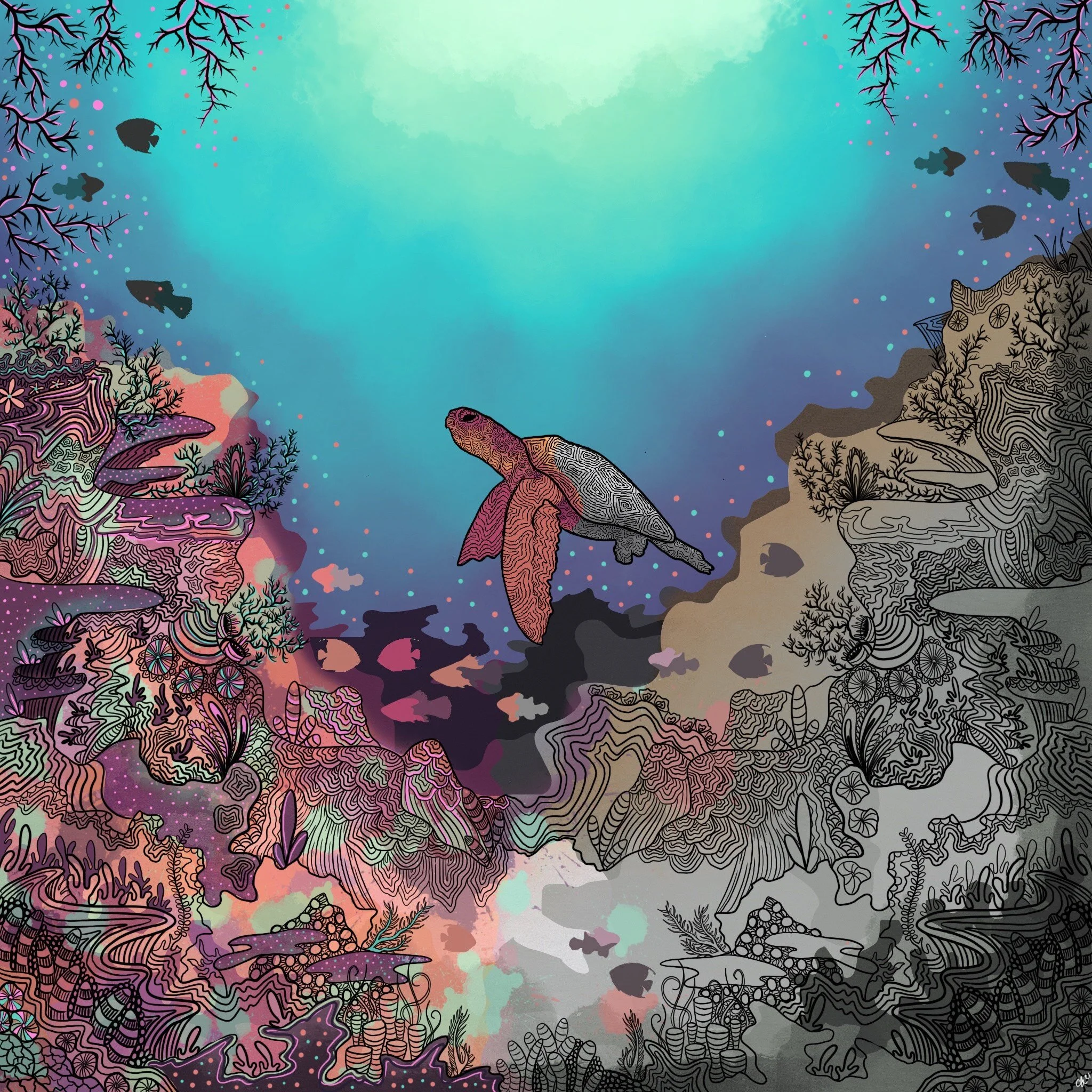 Print Magazine — Viridis Magazine