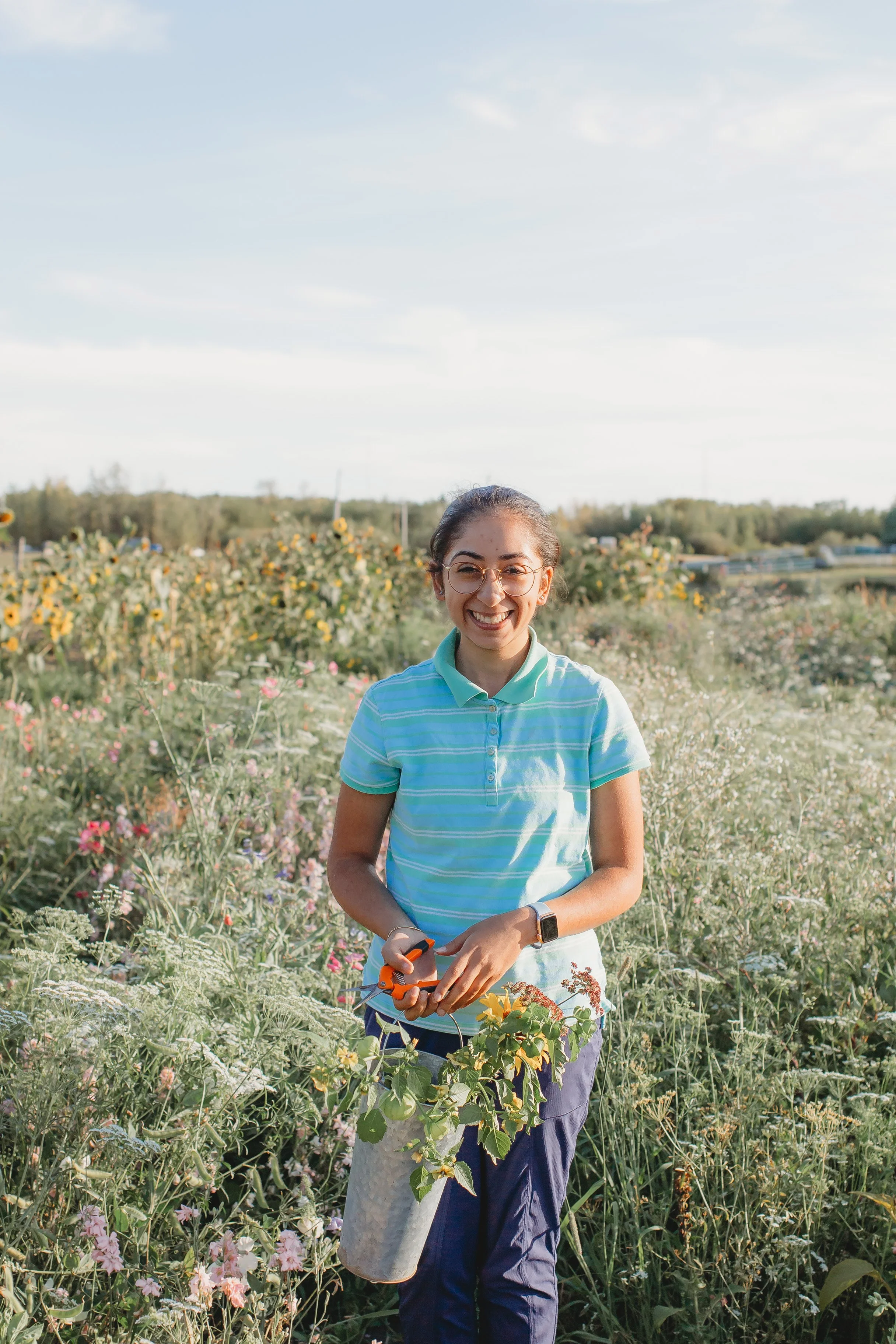 About our Flower and Alpaca Farm — Blooms on 7