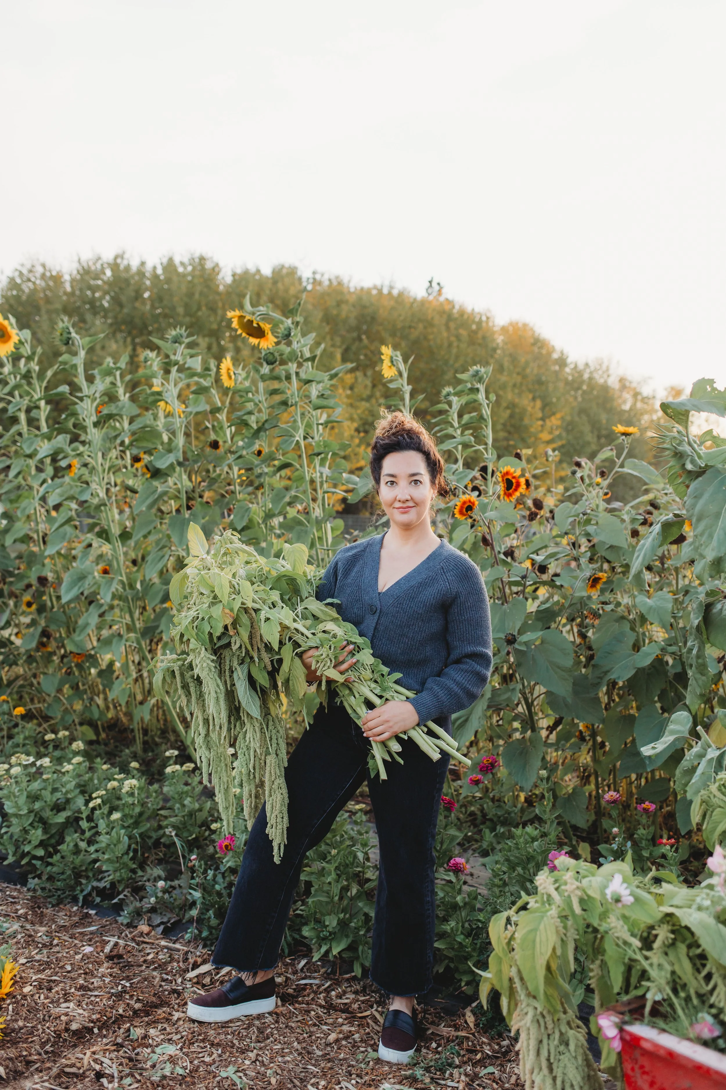 About our Flower and Alpaca Farm — Blooms on 7