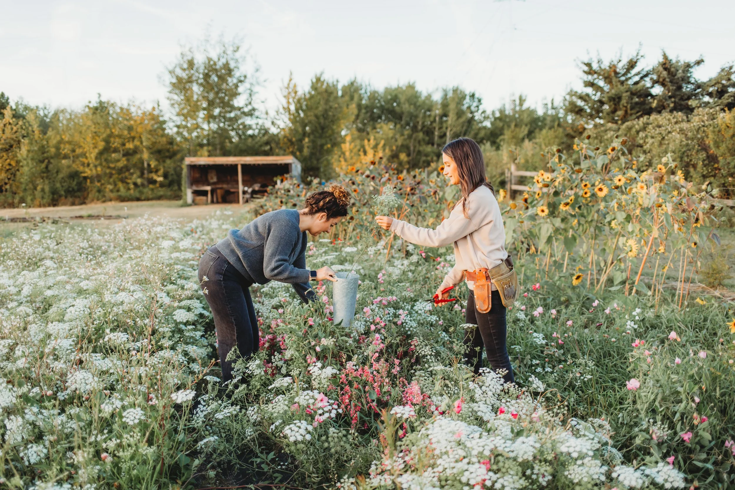 Our Story — Blooms on 7