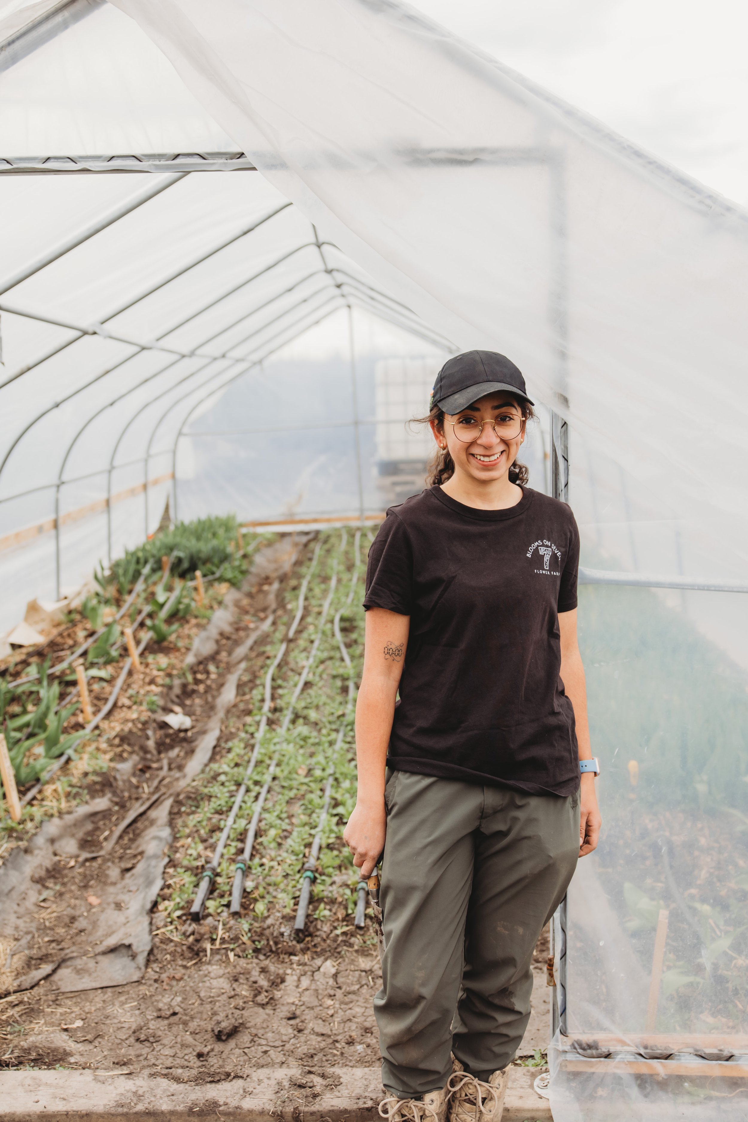 About our Flower and Alpaca Farm — Blooms on 7