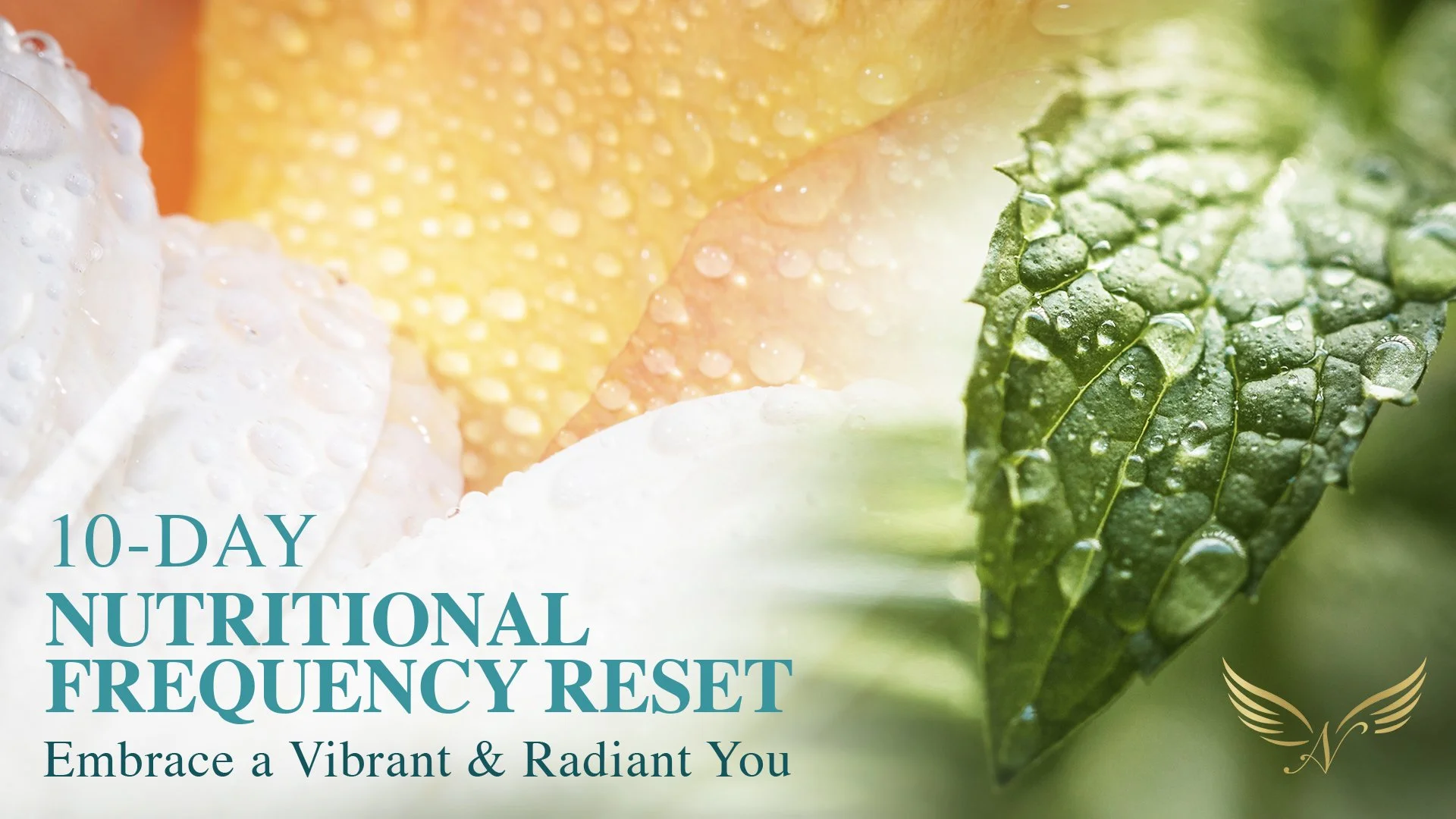 Store — Nutrition for High Frequency Living