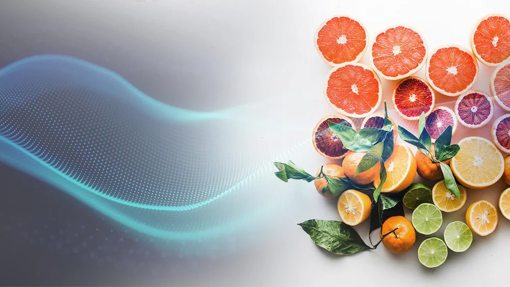 Alli Suter's Nutrition for High Frequency Living, Program offering ...