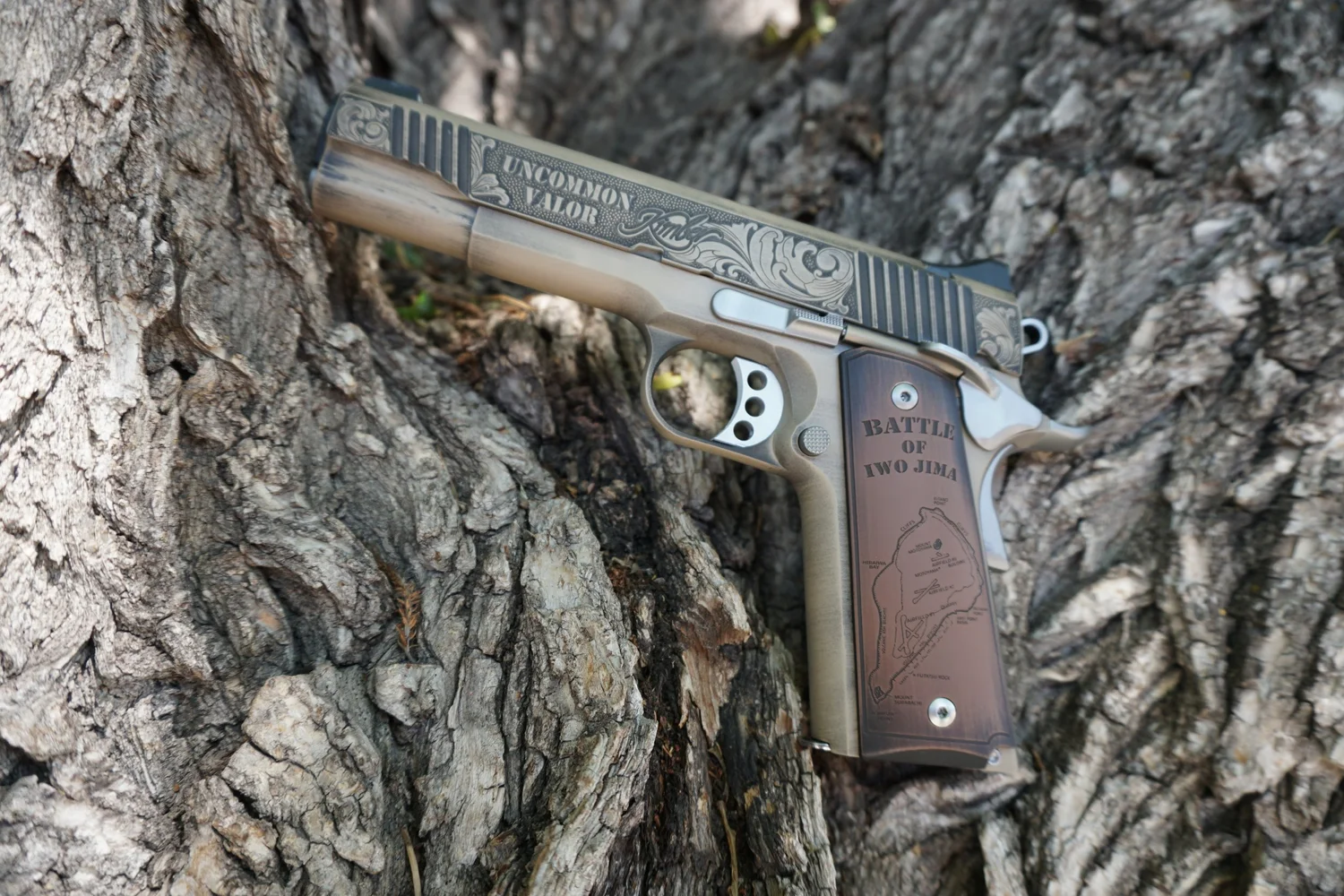 Our Brands & Products — T & T Guns and Ammo, Inc