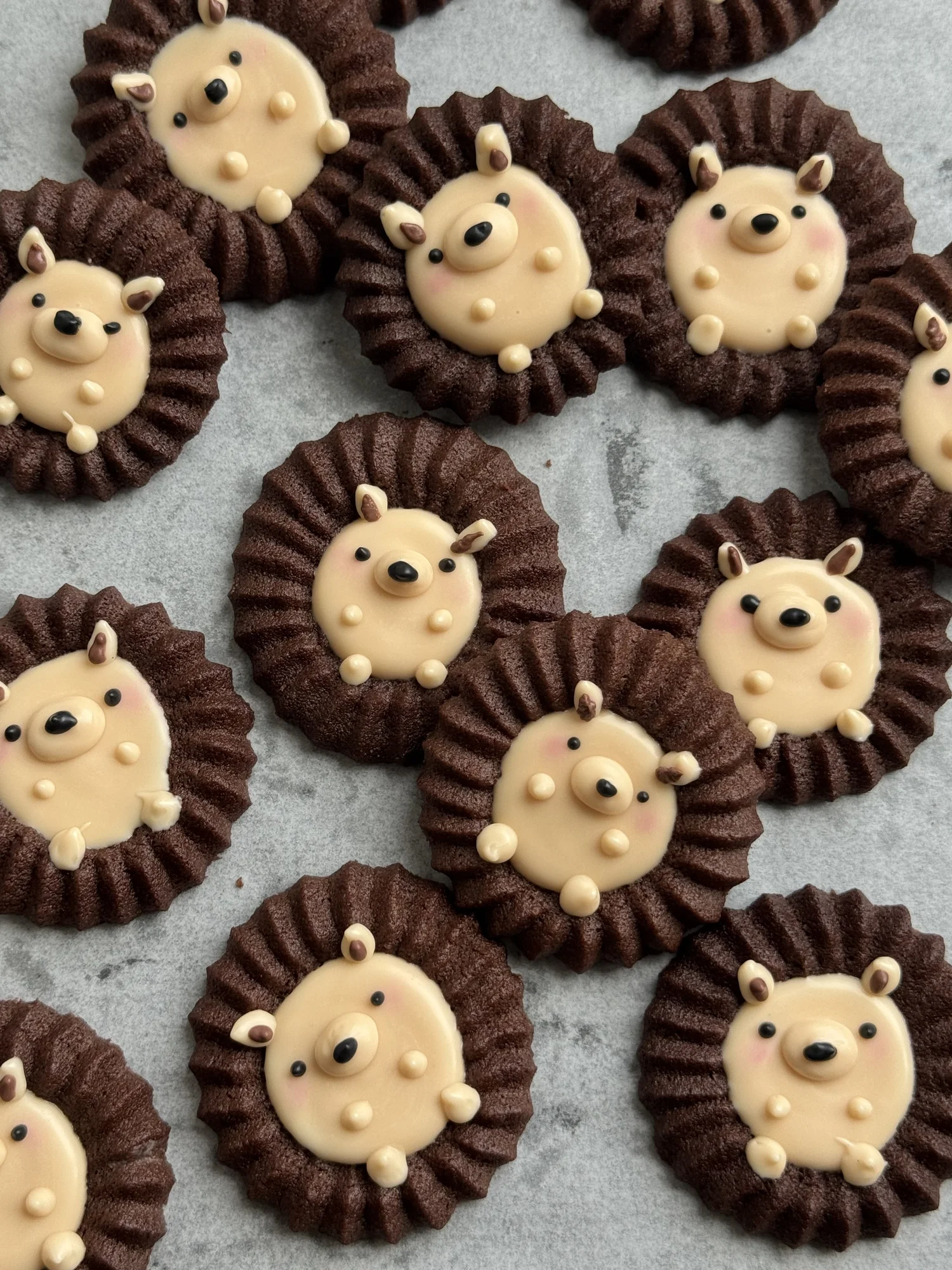 Hedgehog Cookies — Oh Cakes Winnie