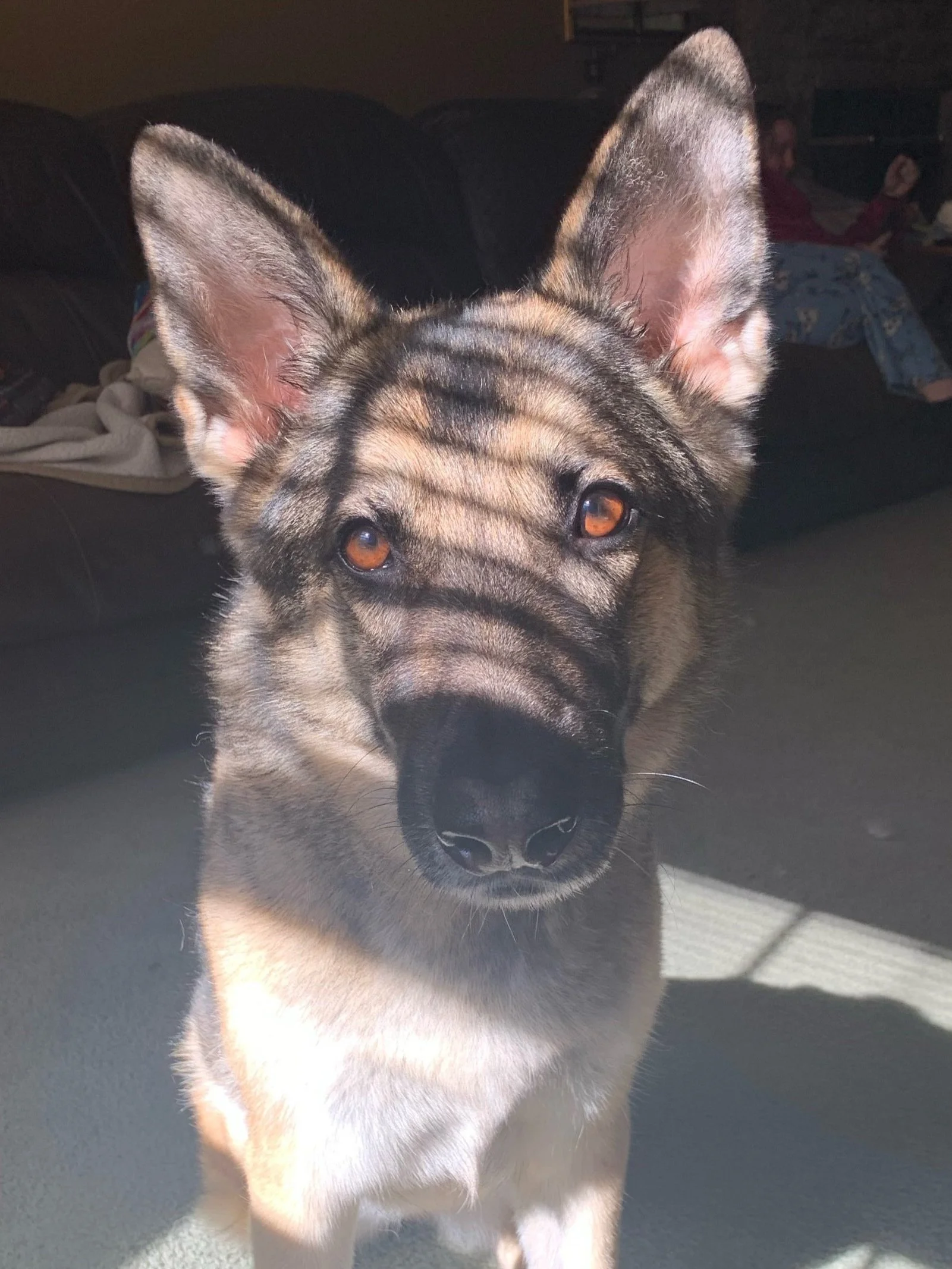 Reference Photo Guidelines — Kate's Portraits