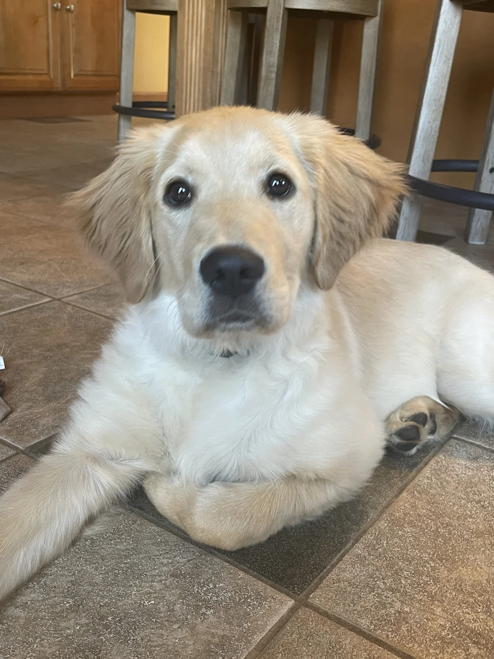 Reference Photo Guidelines — Kate's Portraits