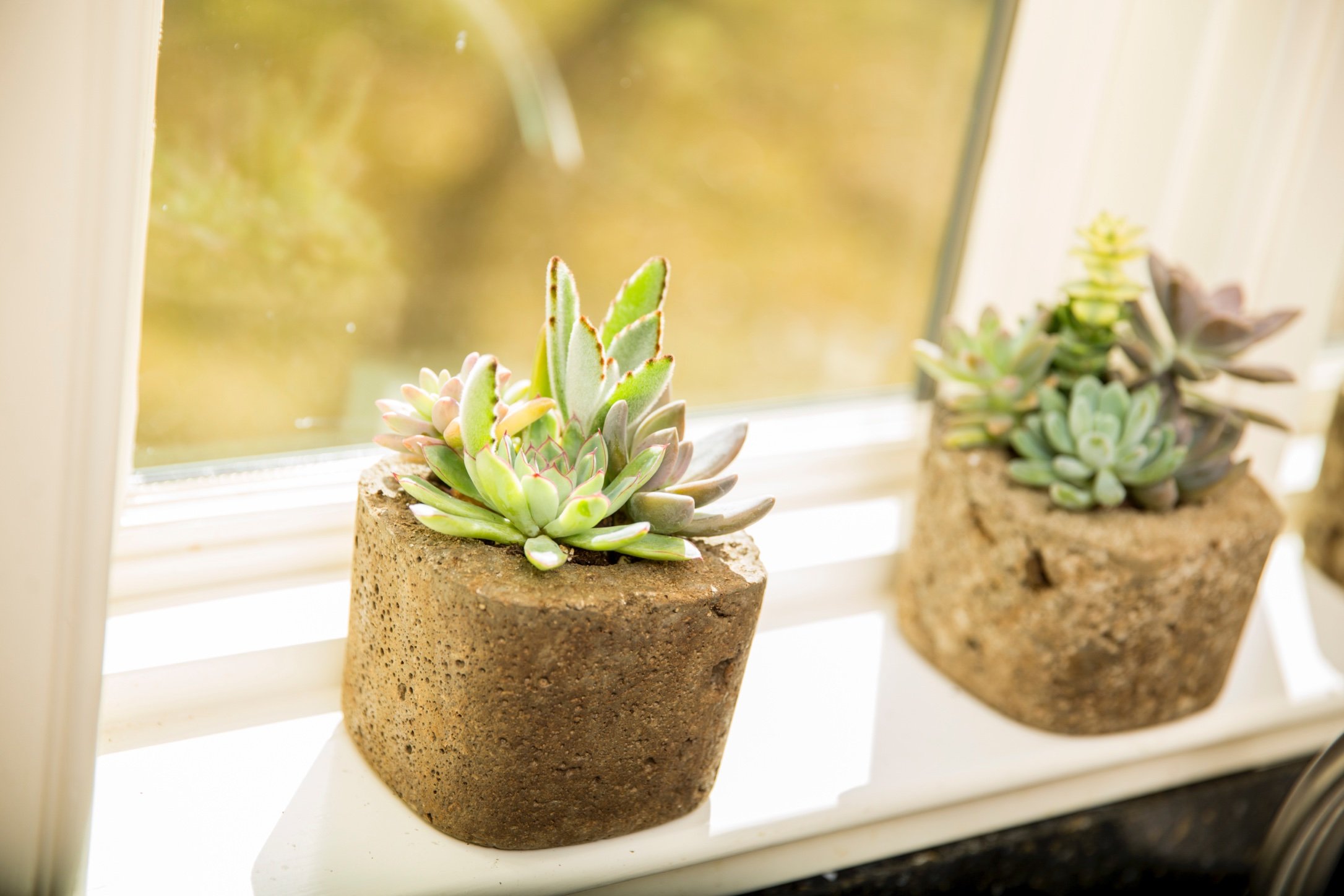 Products — Bennett Plants