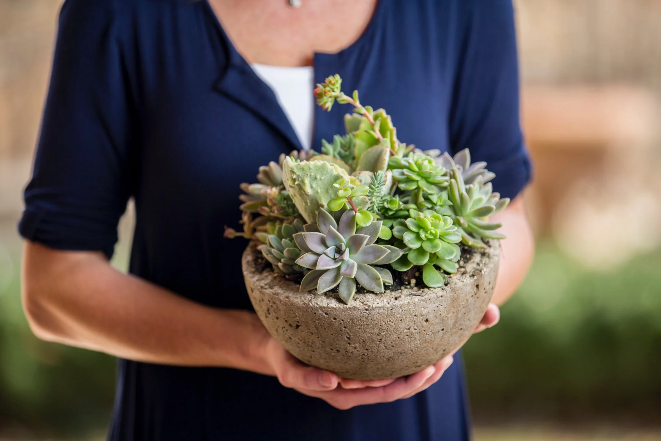 Products — Bennett Plants