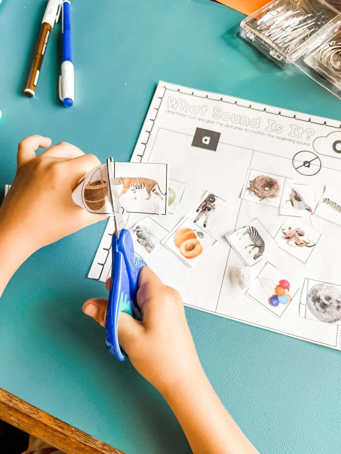 Shop — Project Based Primary