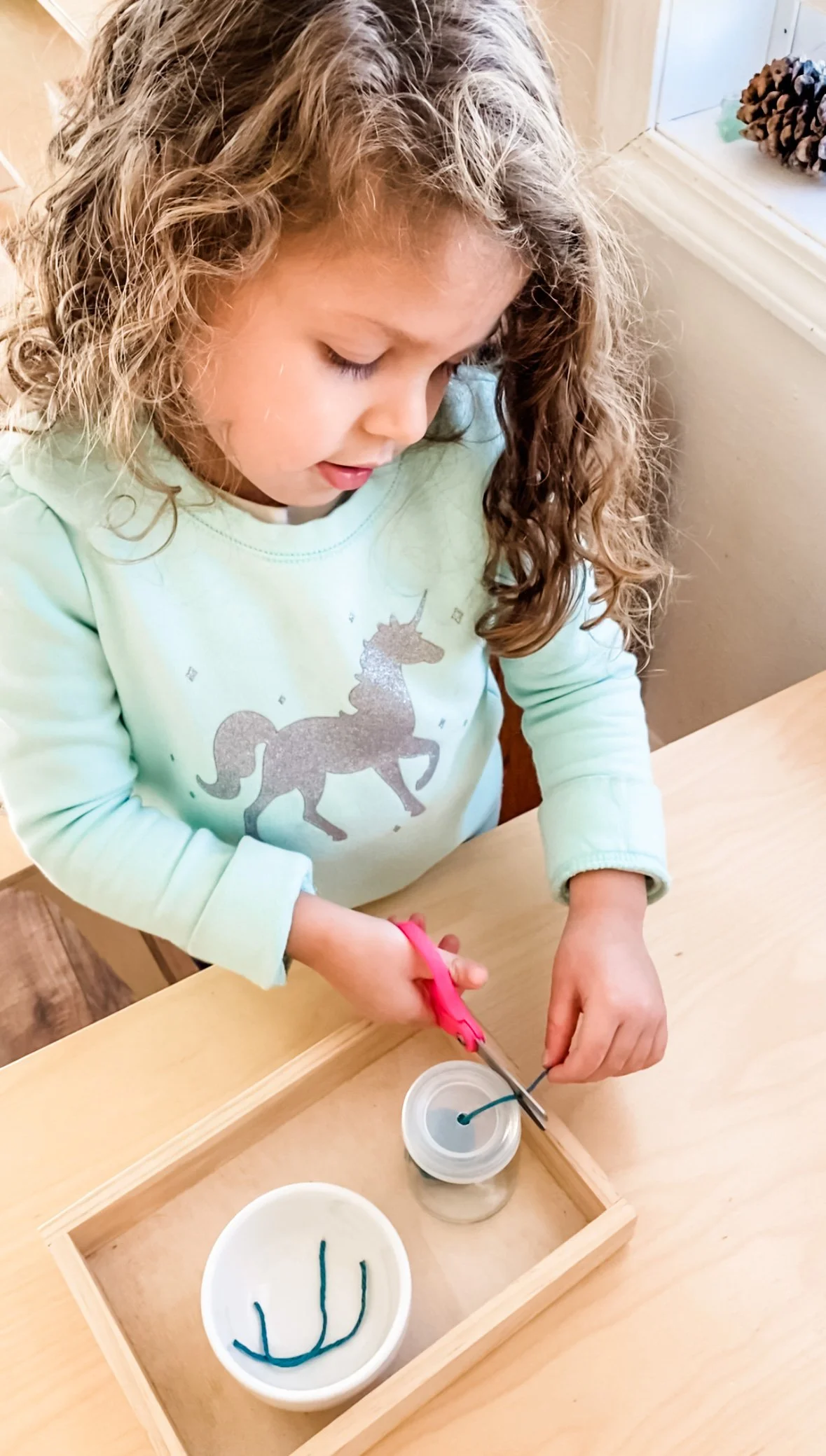 Snip, Snip: Mastering Scissor Skills – Project Based Primary