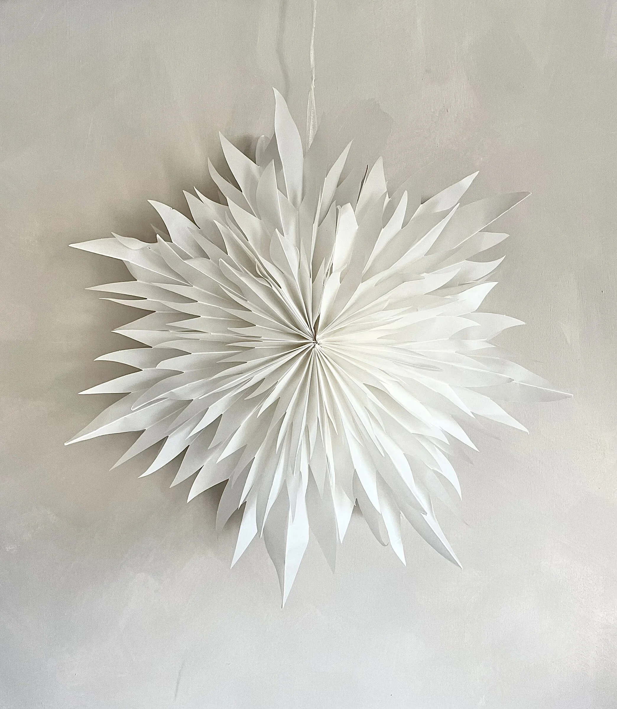 Extra Large Paper Star — The Pampas Place UK