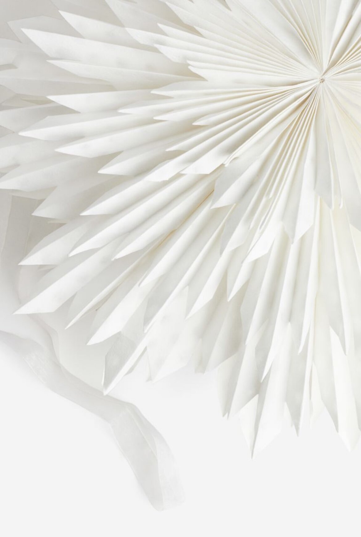 Extra Large Paper Star — The Pampas Place UK