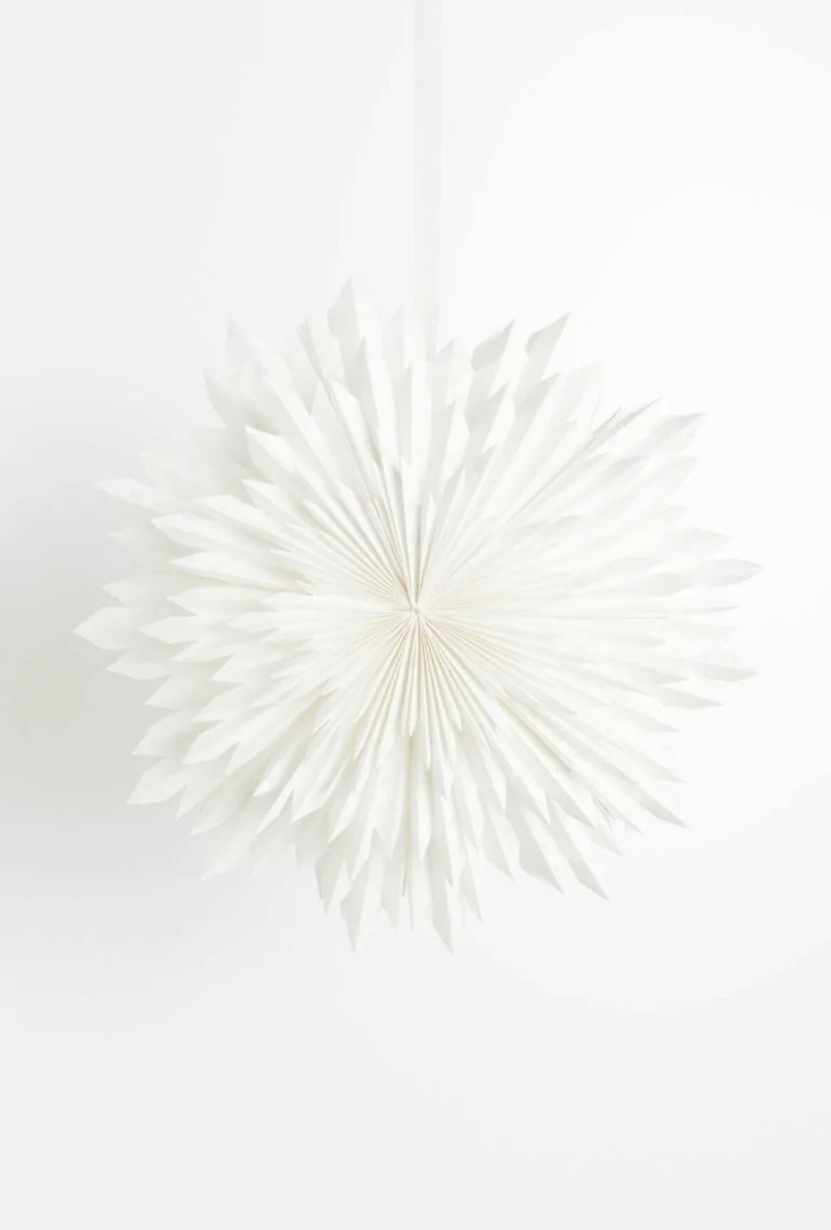 Extra Large Paper Star — The Pampas Place UK