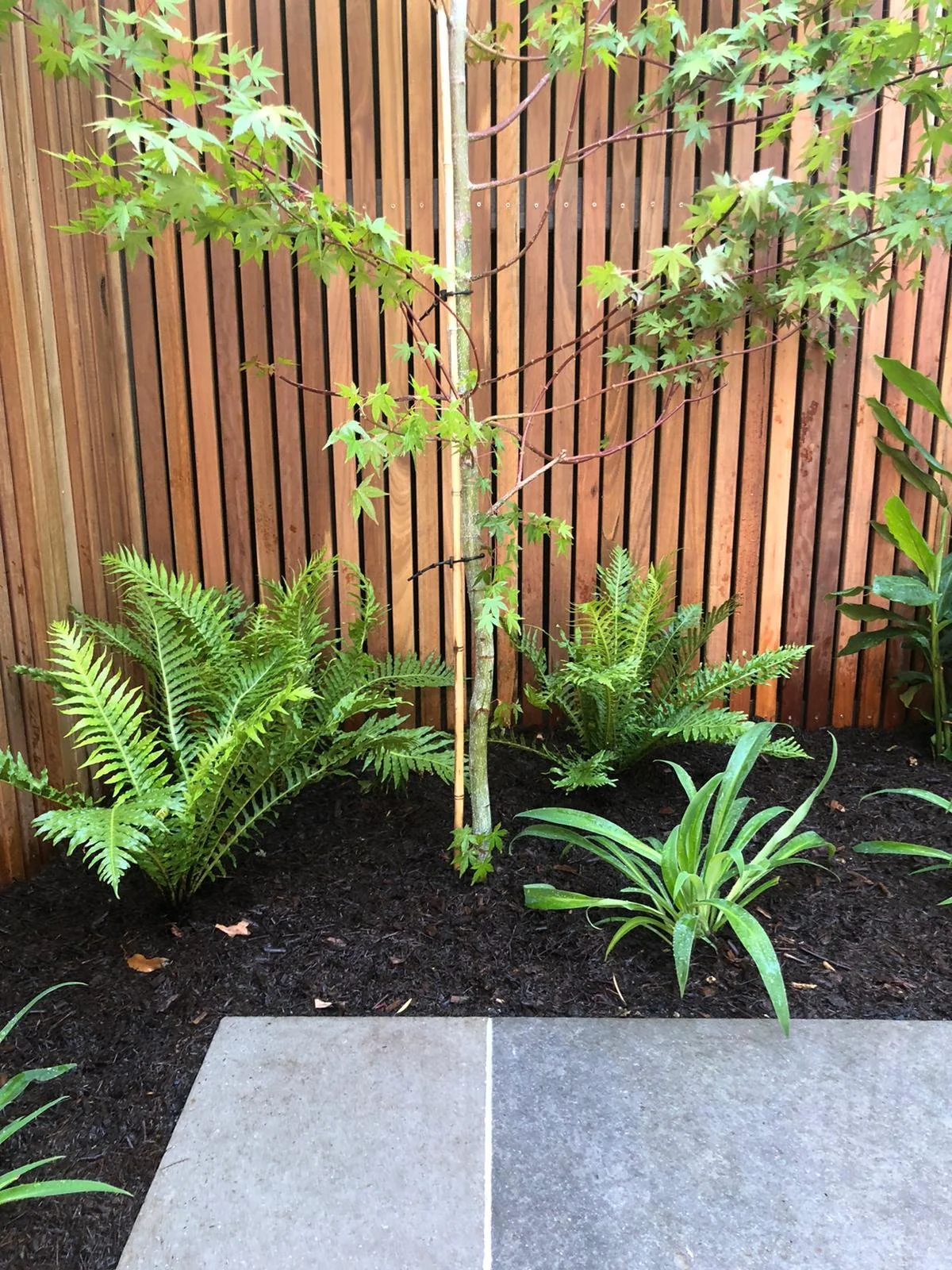 Projects — Beautiful Outdoor Spaces - Melbourne Garden Design ...